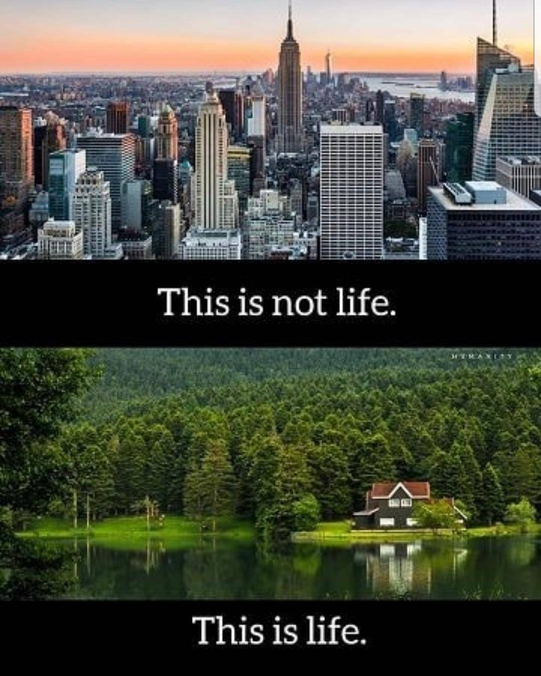 Gatekeeping life | Scrolller