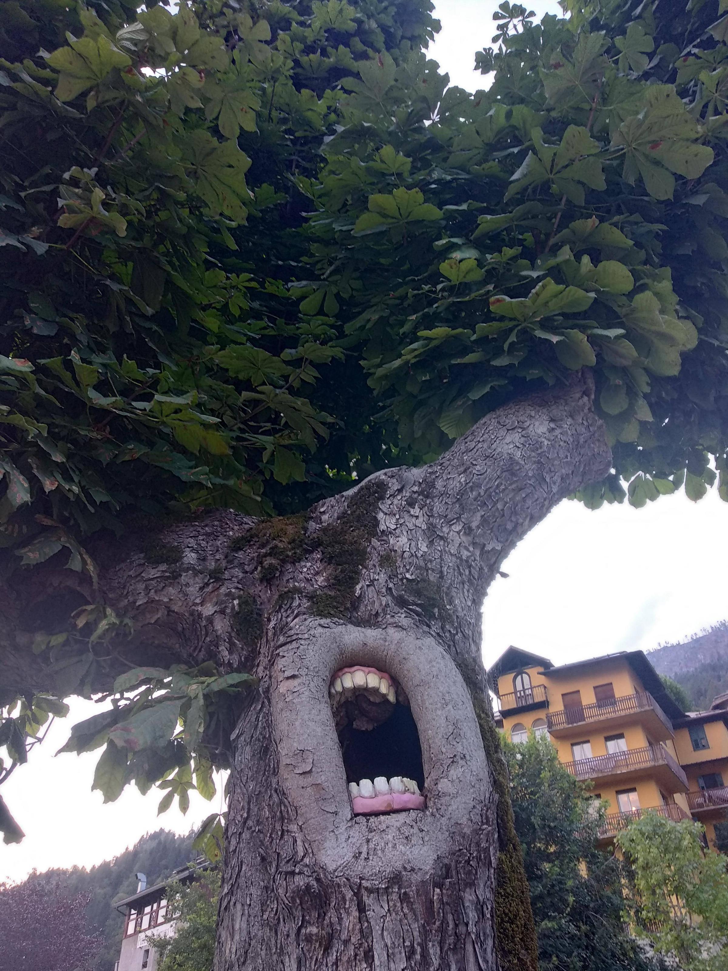 Gentle! Gentle! | Scrolller