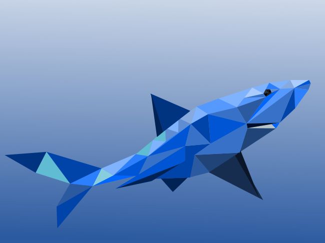 Geometric Shark | Scrolller