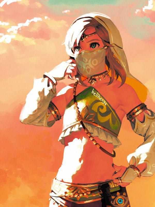 Gerudo Link, beautiful as ever | Scrolller