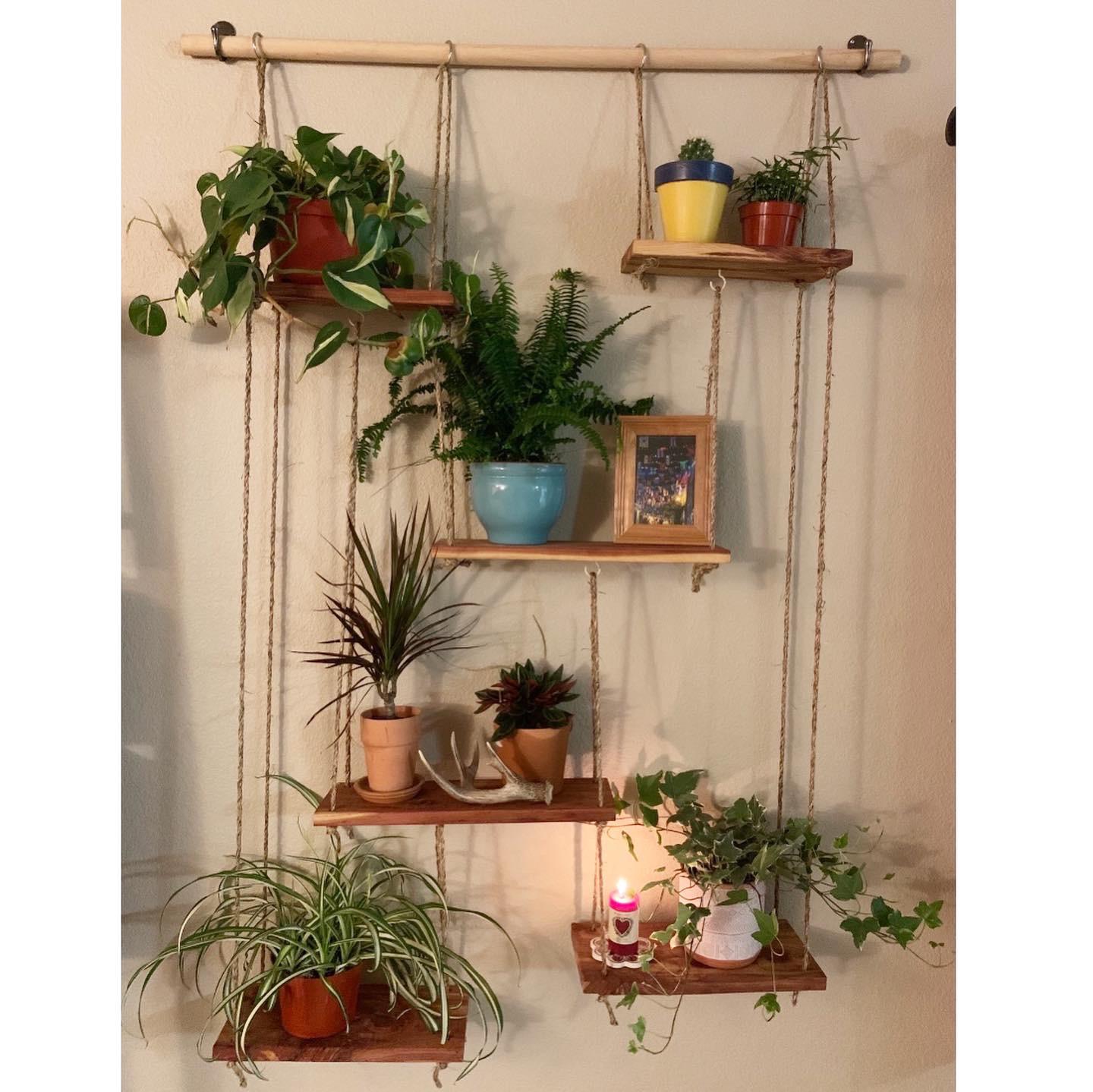 Getting creative with ways for more plant space! | Scrolller