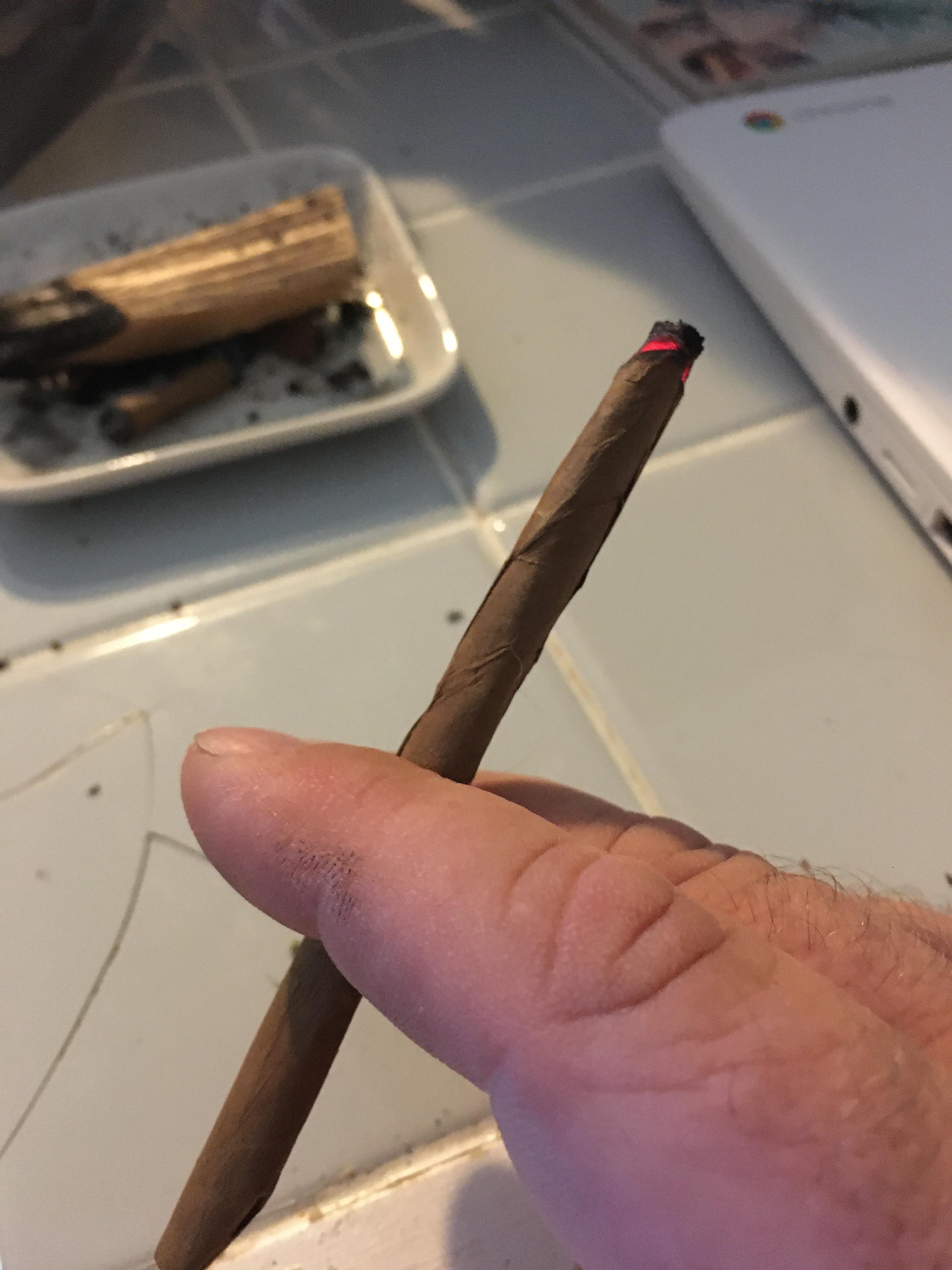 Getting glued. A thin Dutch and Gorilla Glue. | Scrolller