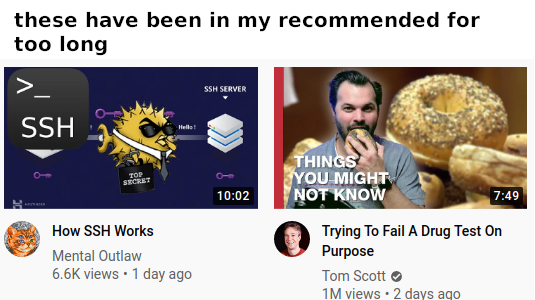 Getting images here is slightly inconvenient | Scrolller