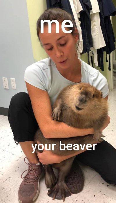 Getting in close to that beaver | Scrolller