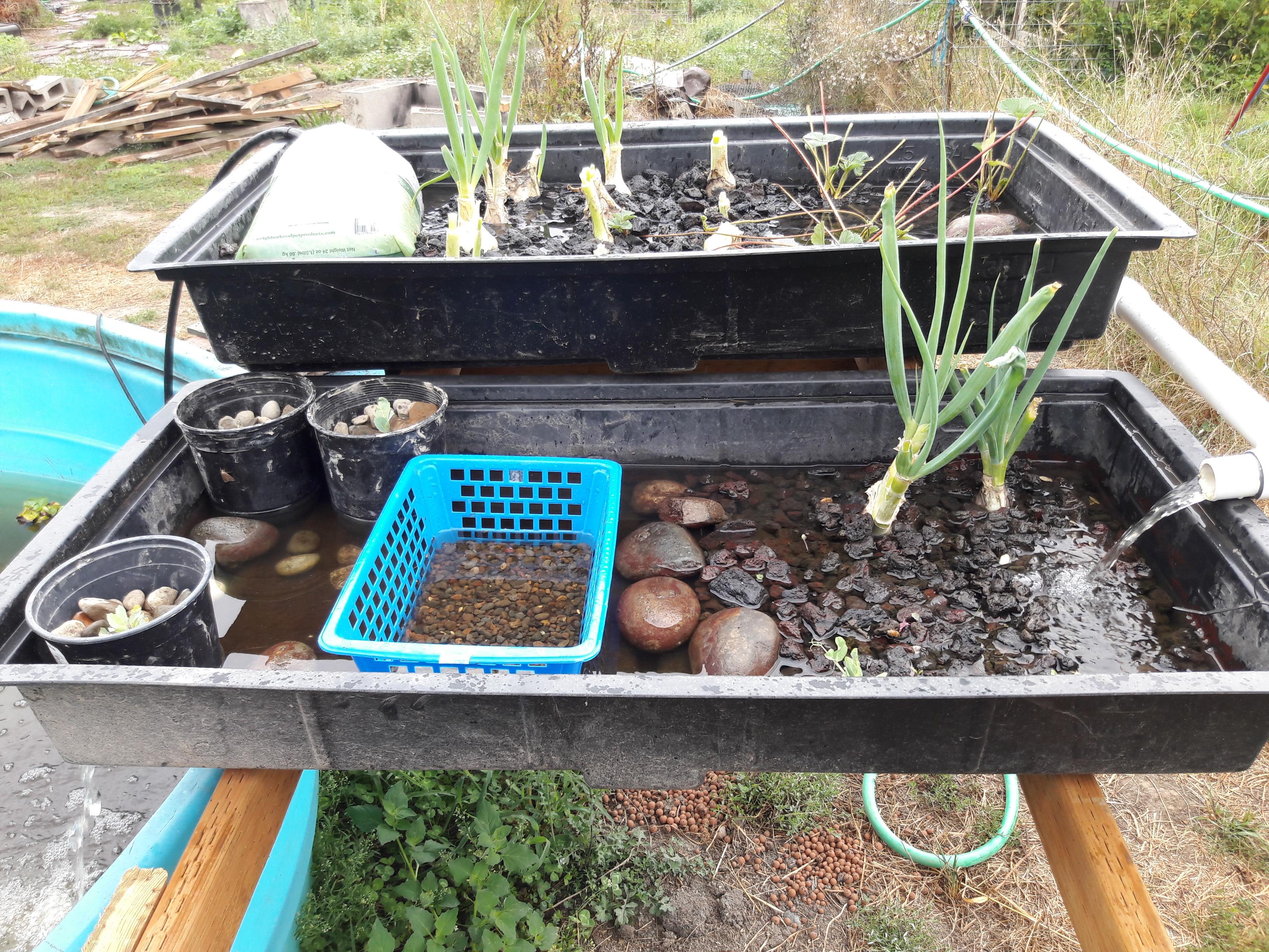 Getting started | Scrolller