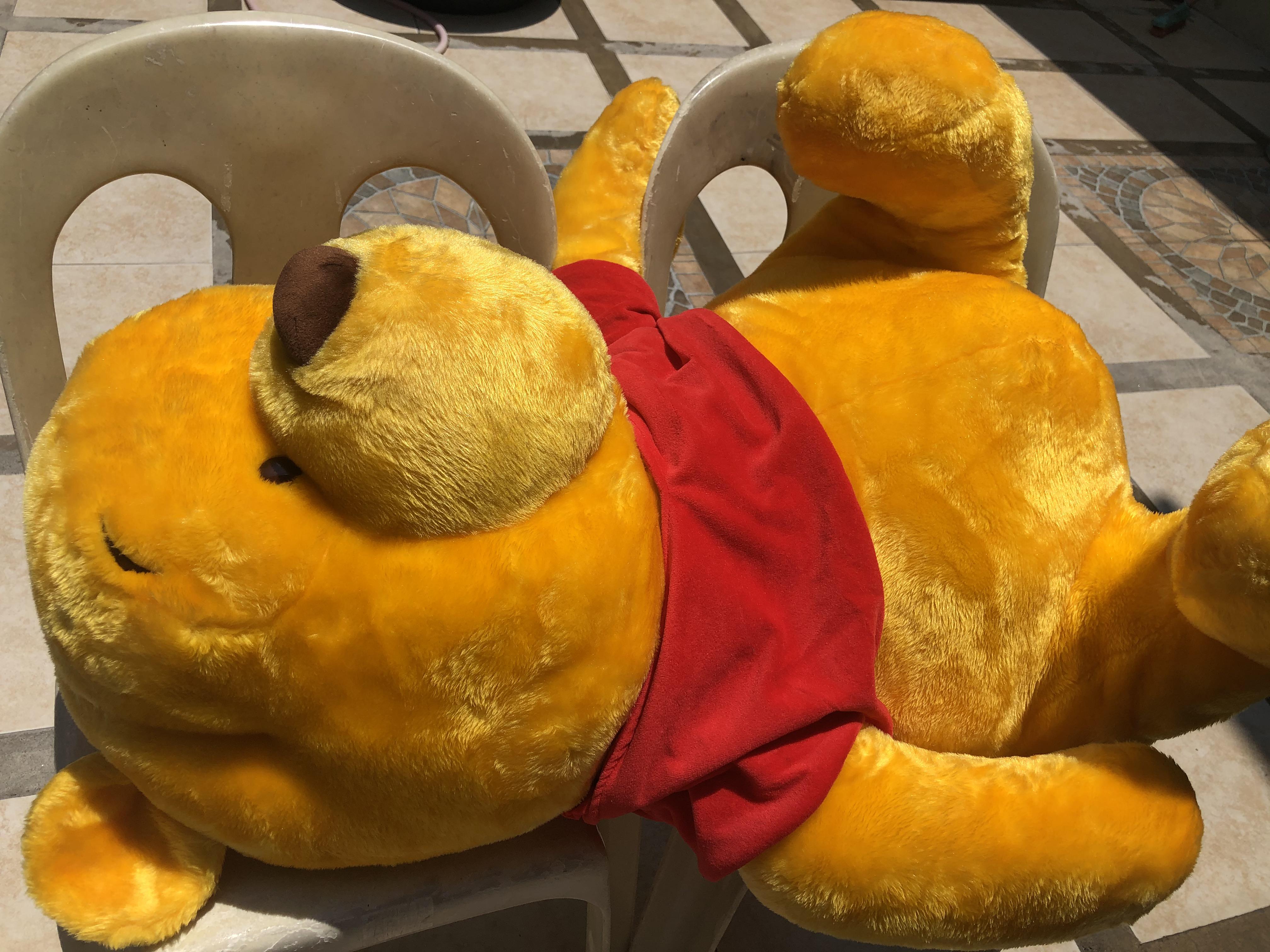Giant Baby Pooh! | Scrolller