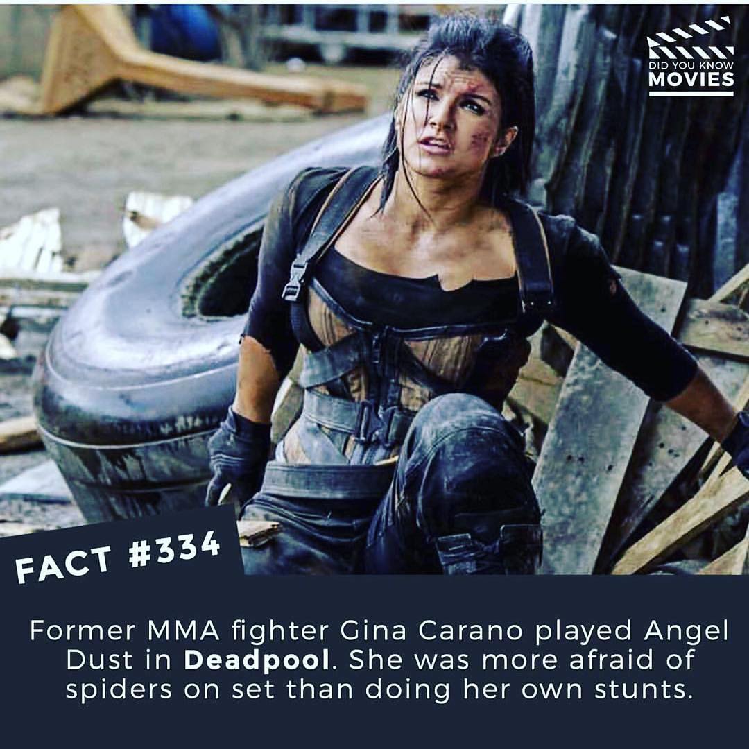 Gina Fact: more afraid of spiders on set than doing her own stunts. | Scrolller