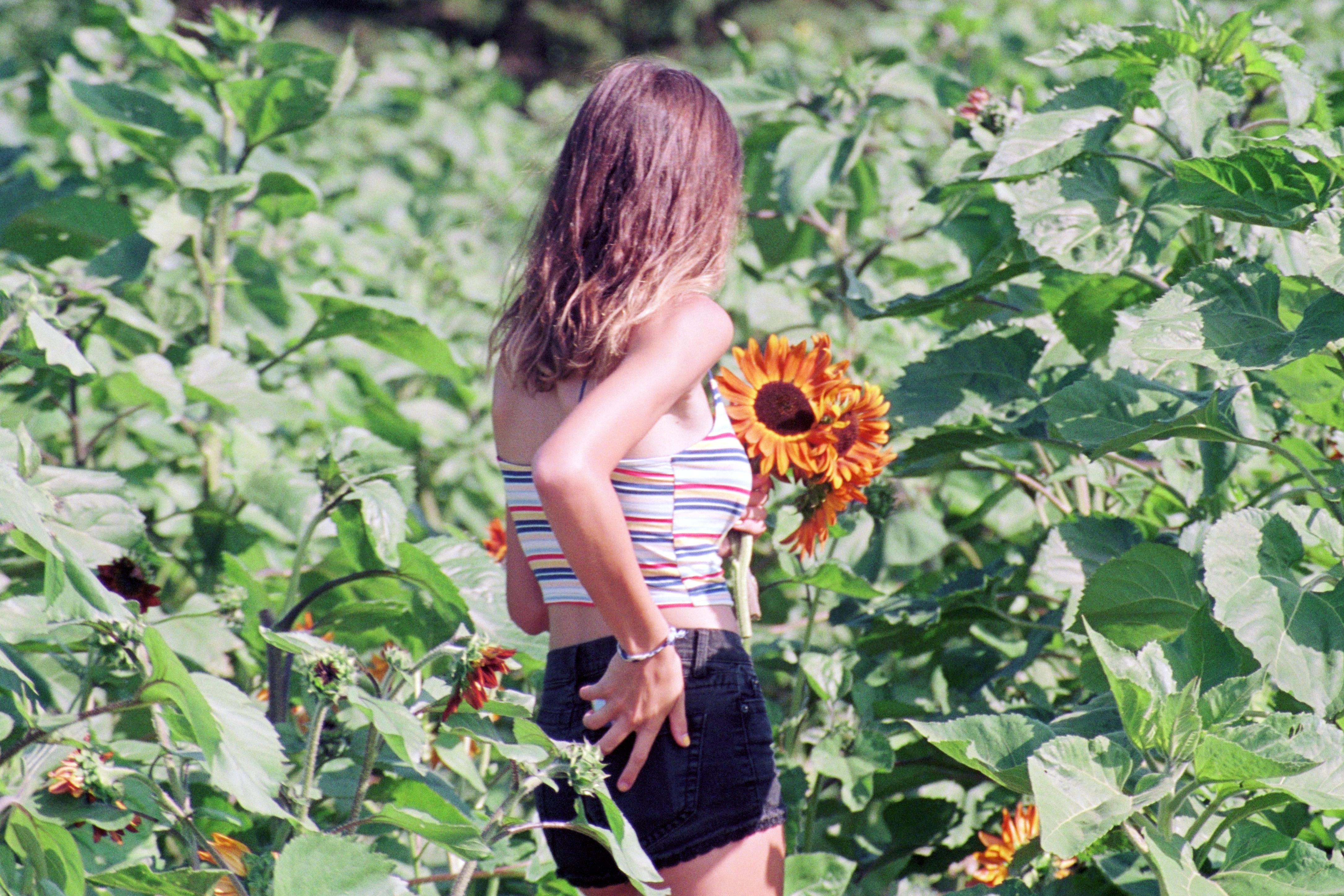 Girl Picking Sunflowers - Pentax K1000 Portra 400 | Scrolller
