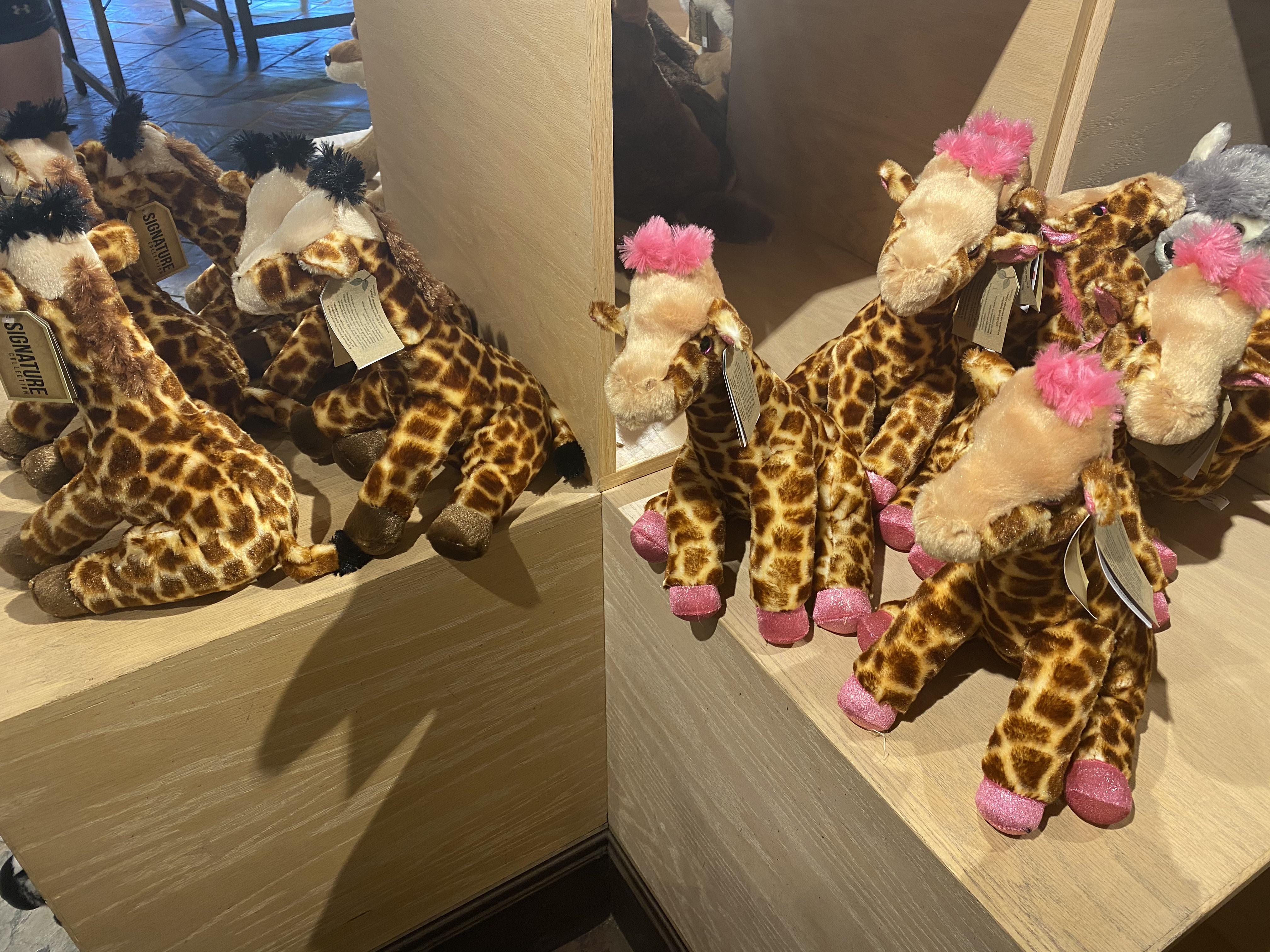 Girls get anatomically incorrect giraffes | Scrolller