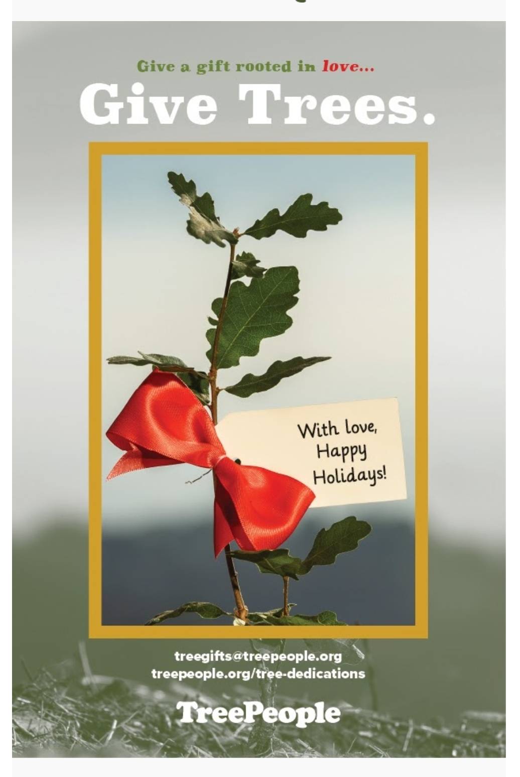 Give Trees | Scrolller