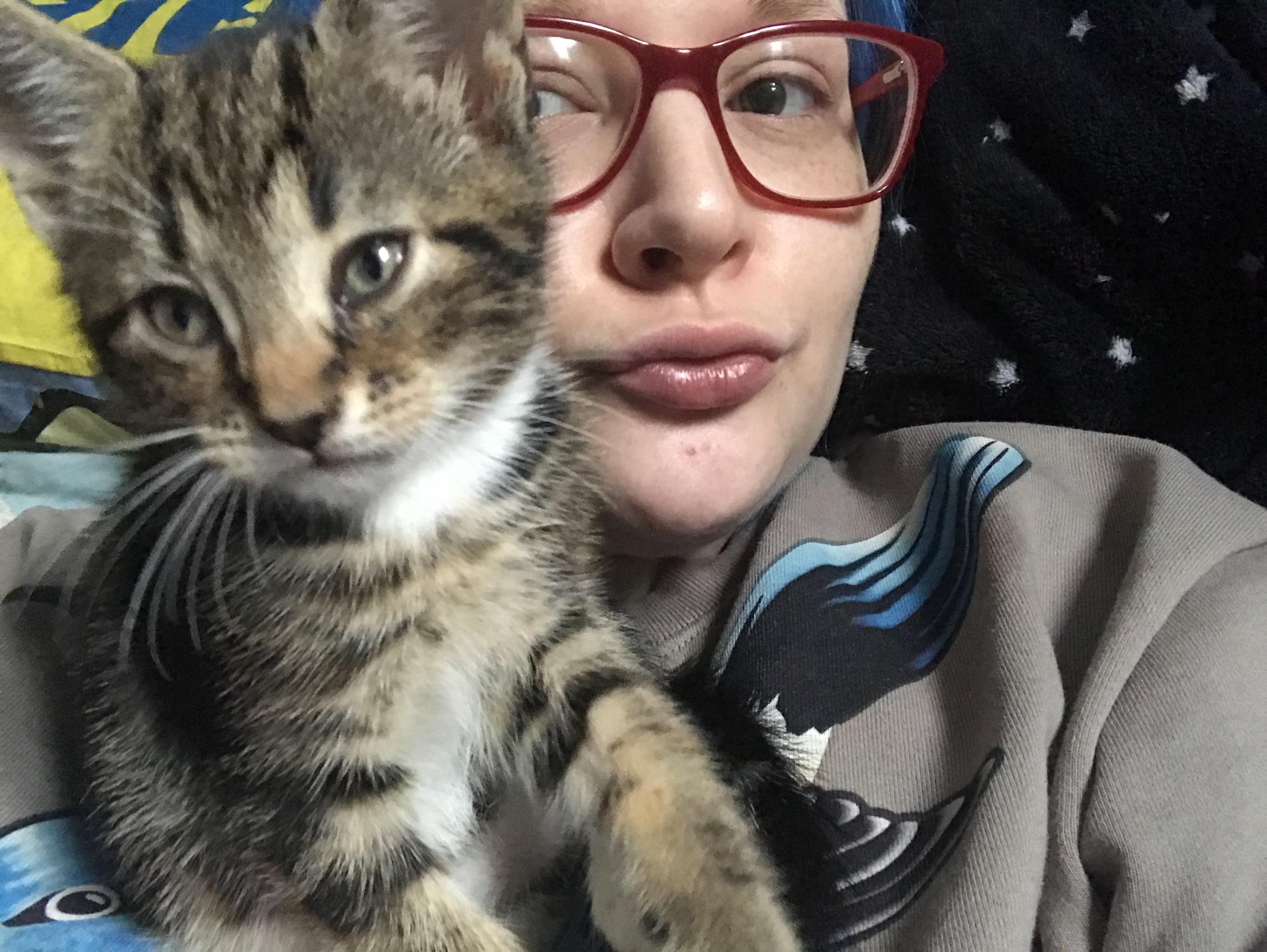 Glasses selfie with a kitten 🐈 | Scrolller