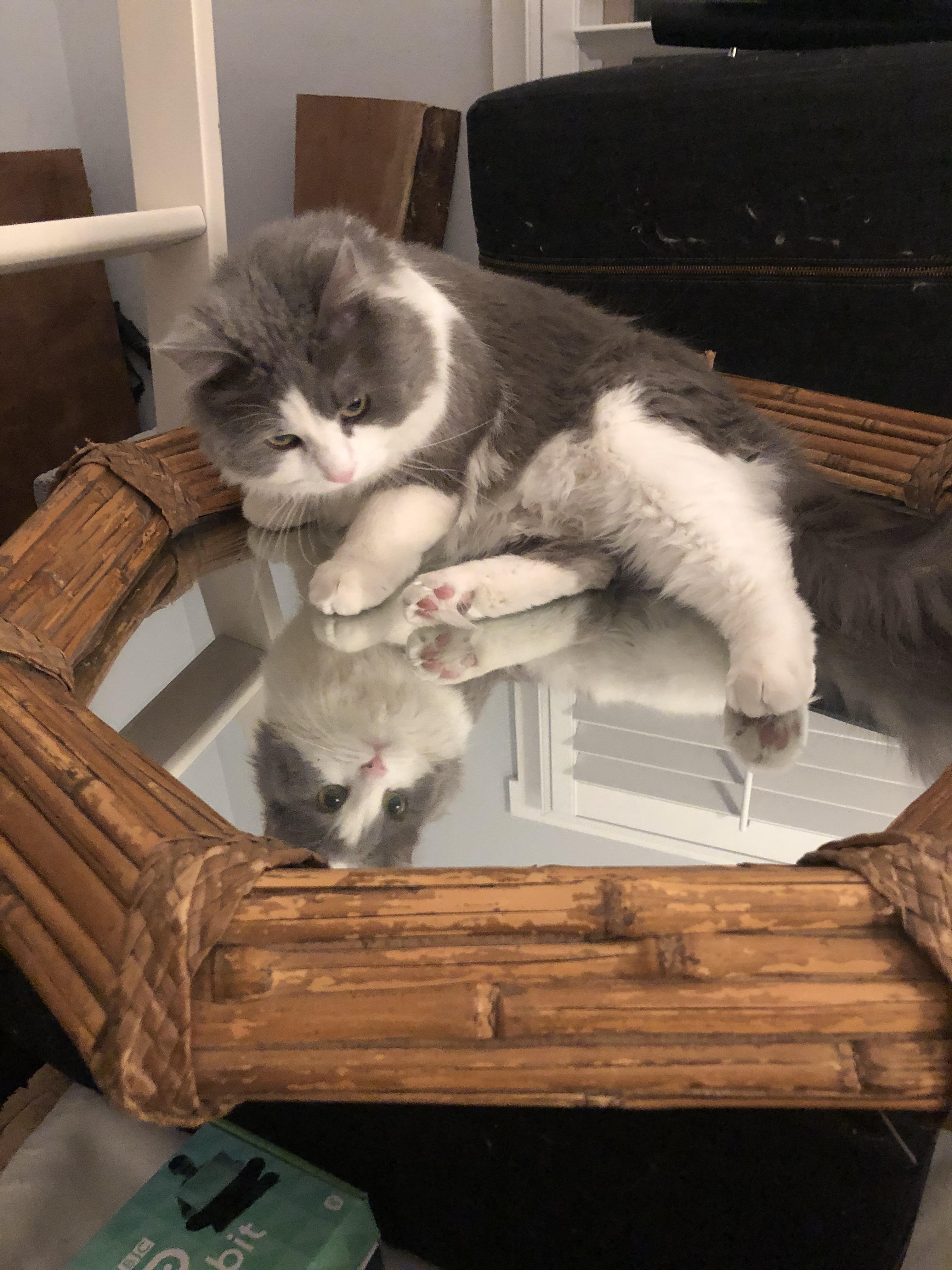 We’re moving but she’s mirin’ | Scrolller