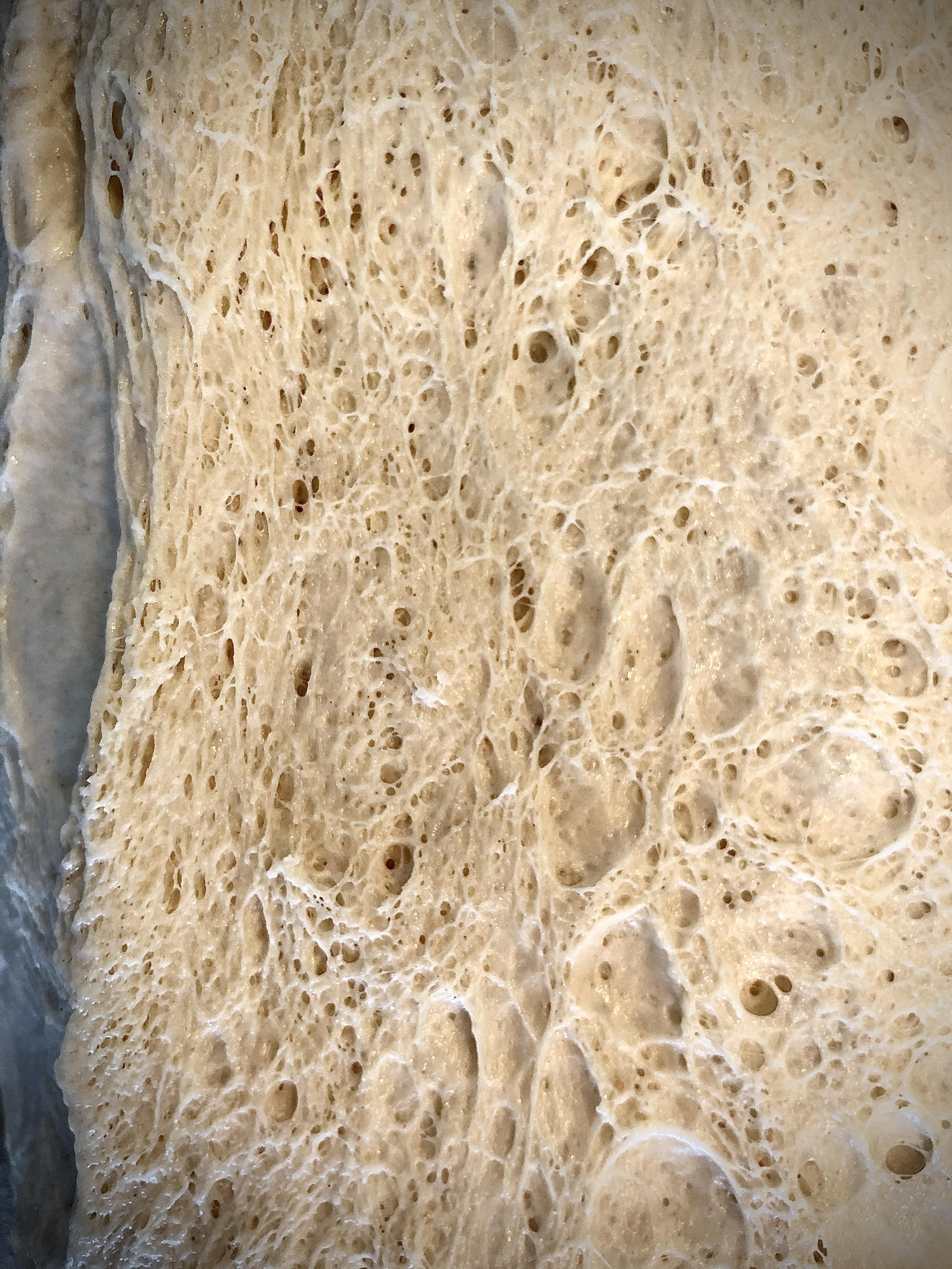 Gluten is awesome:)) | Scrolller