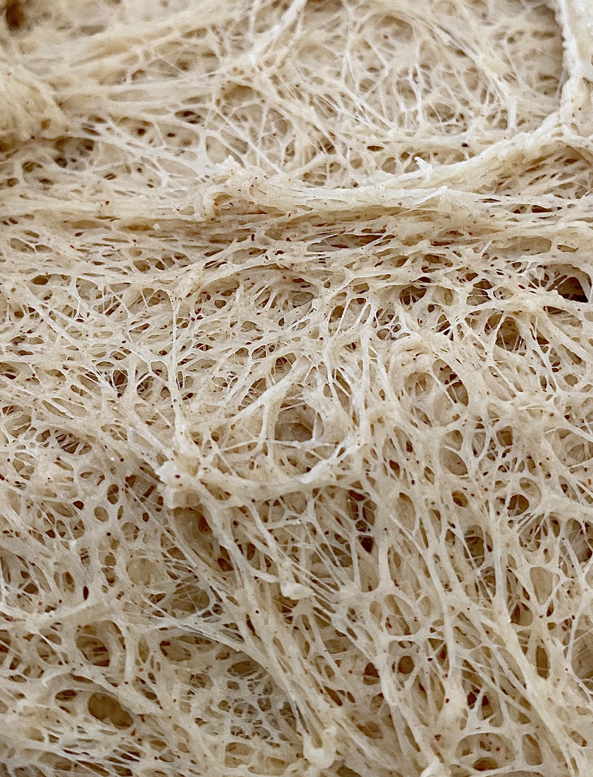 Gluten networks! | Scrolller