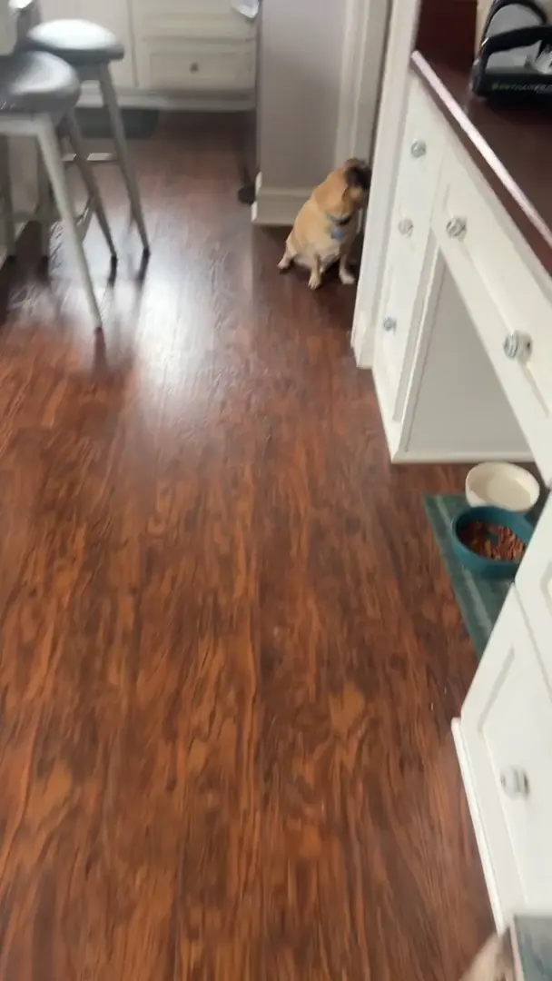 Discover more like Tippytaps: Going Outside Little Tippies! and Related Content | Scrolller