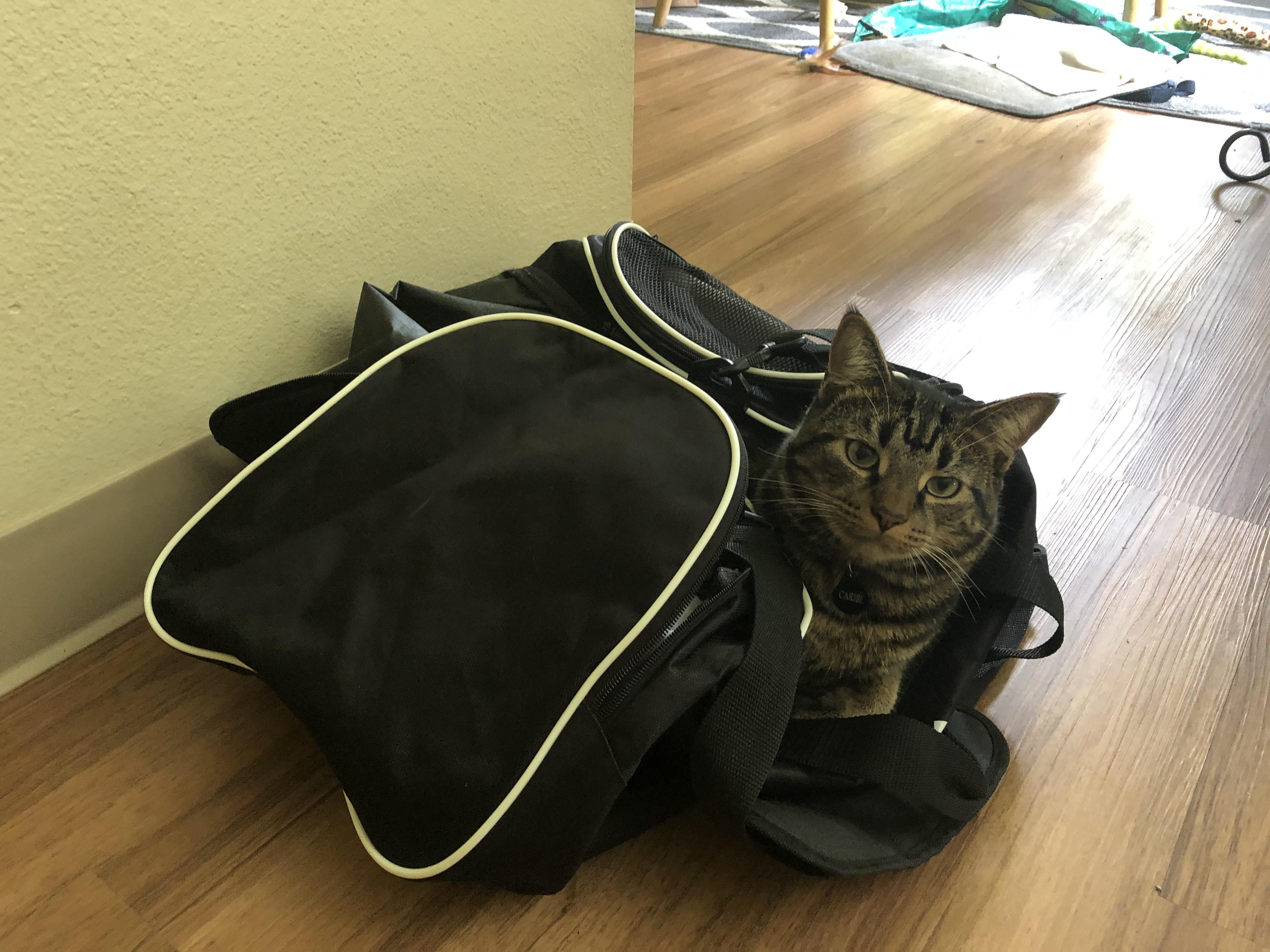 Going Somewhere Scrolller