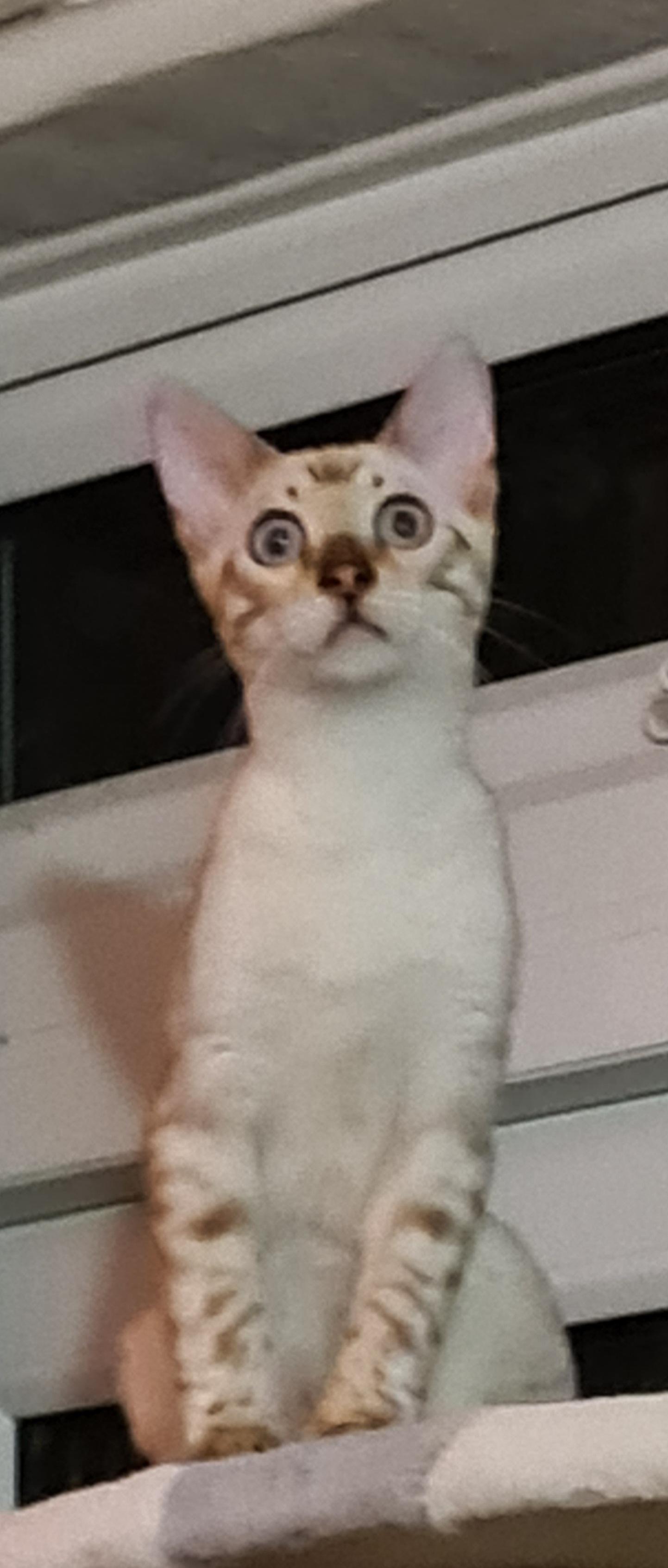 Gonna catch that fly..... | Scrolller