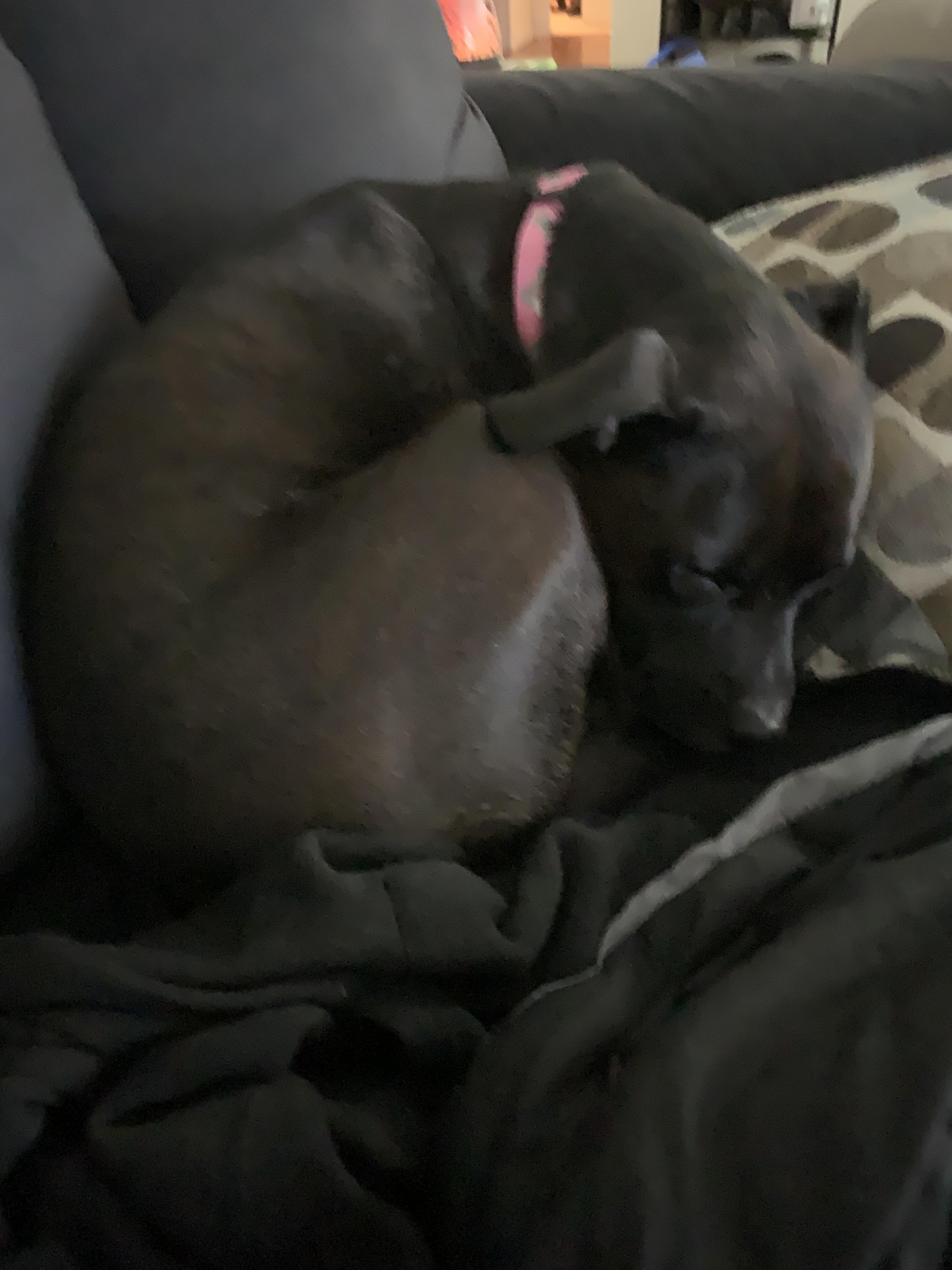 Good girl pt:2 am sleep | Scrolller