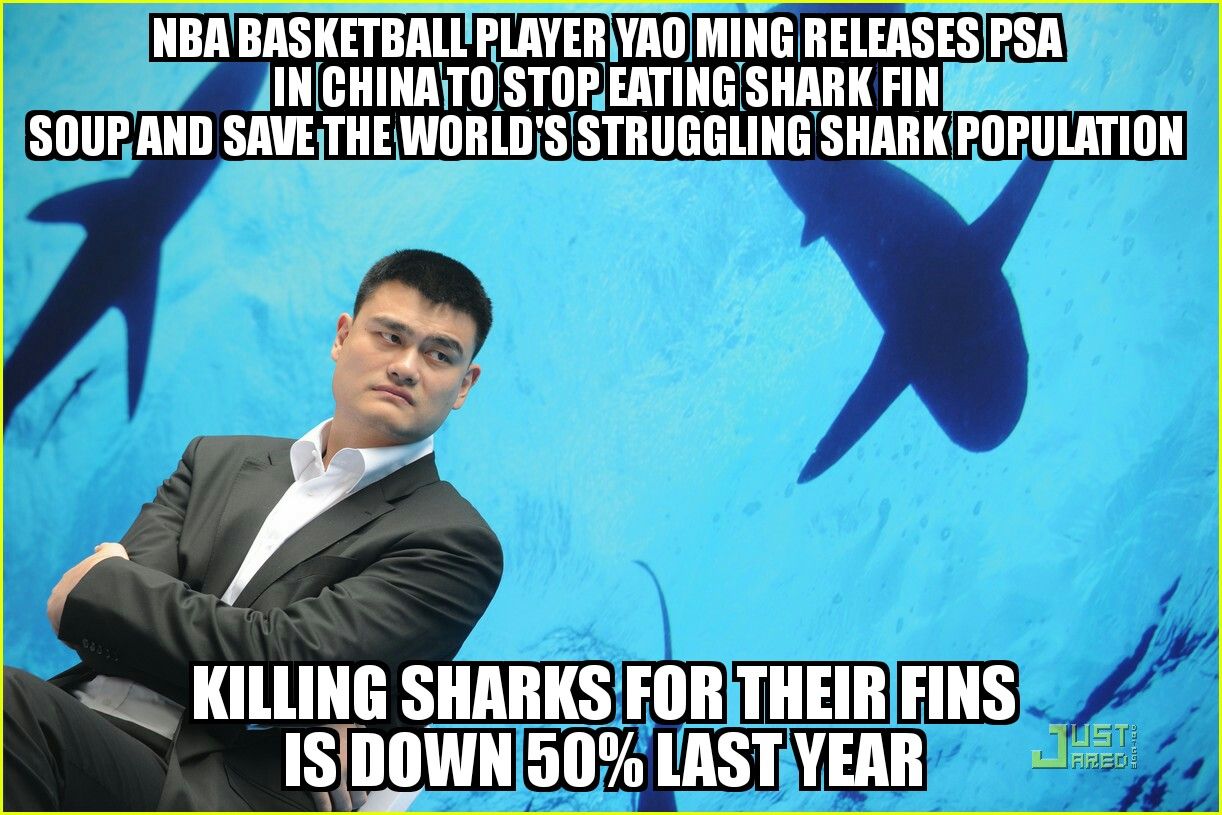 Good Guy Yao Ming | Scrolller