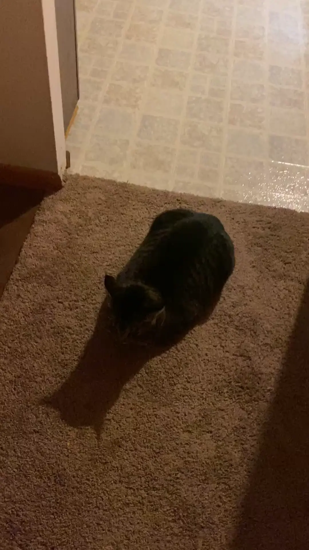 Good Loaf | Scrolller