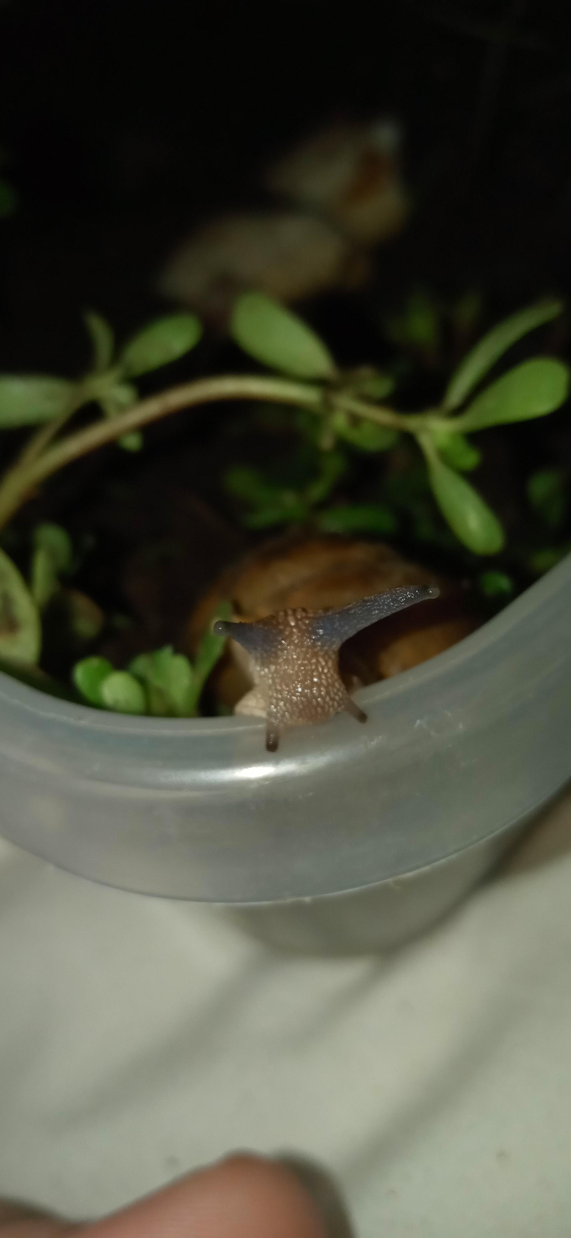 Good morning from the new enclosure! | Scrolller