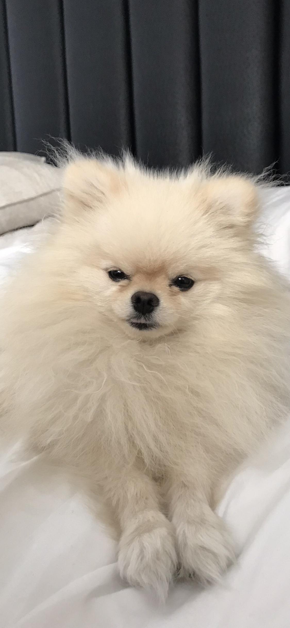 Good morning mom | Scrolller