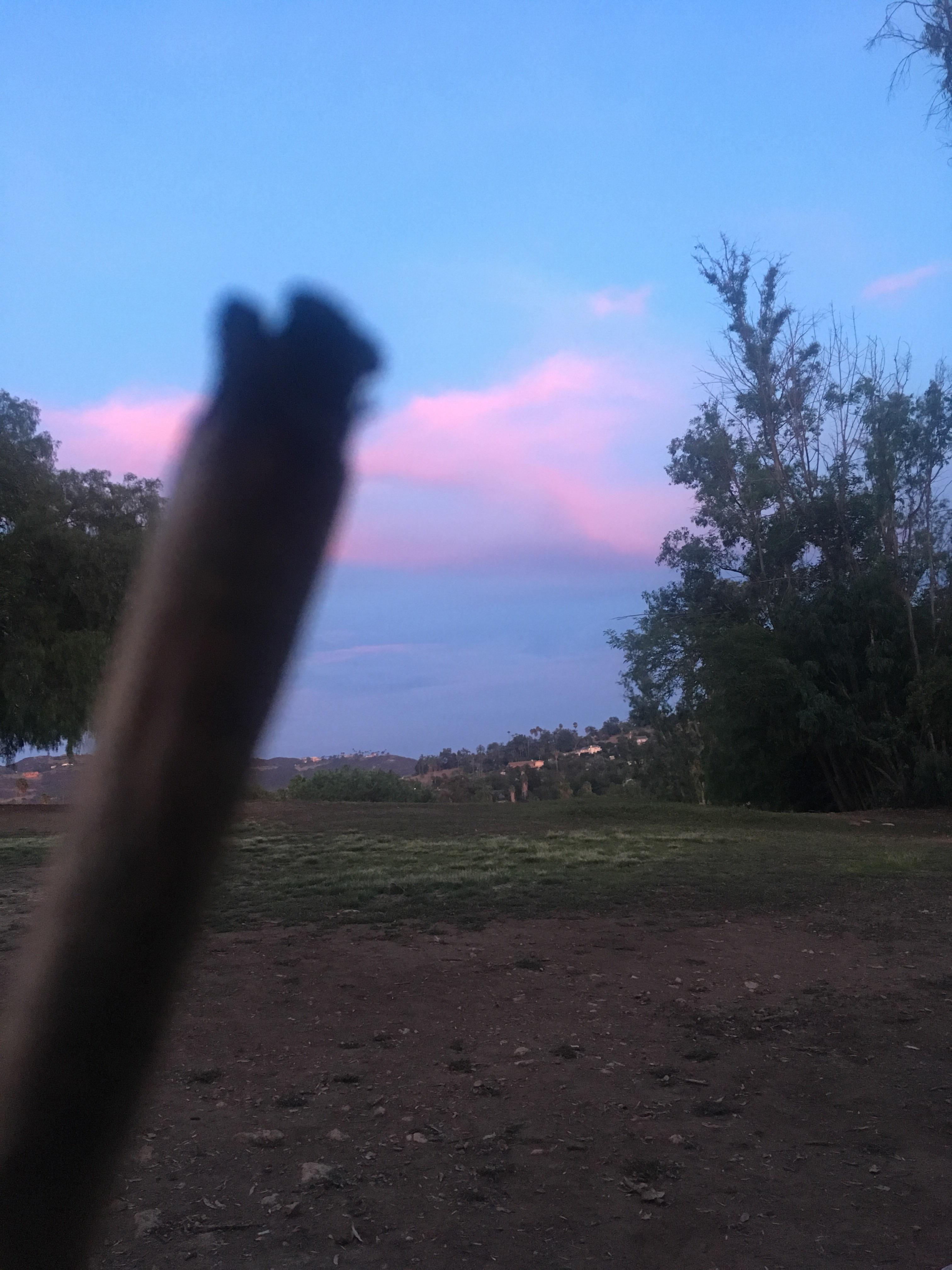 Good vibes | Scrolller