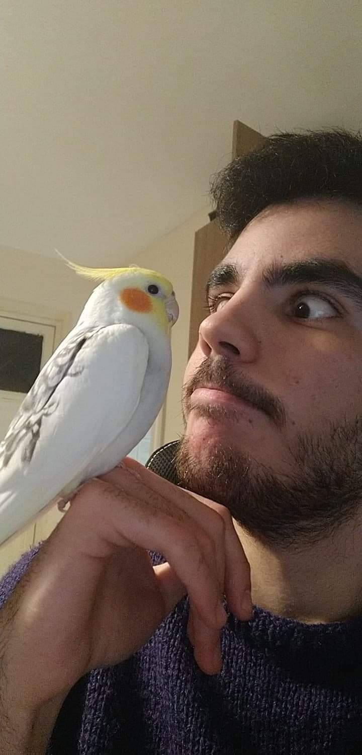 Goodbye my little friend. I love you and will remember you always. | Scrolller