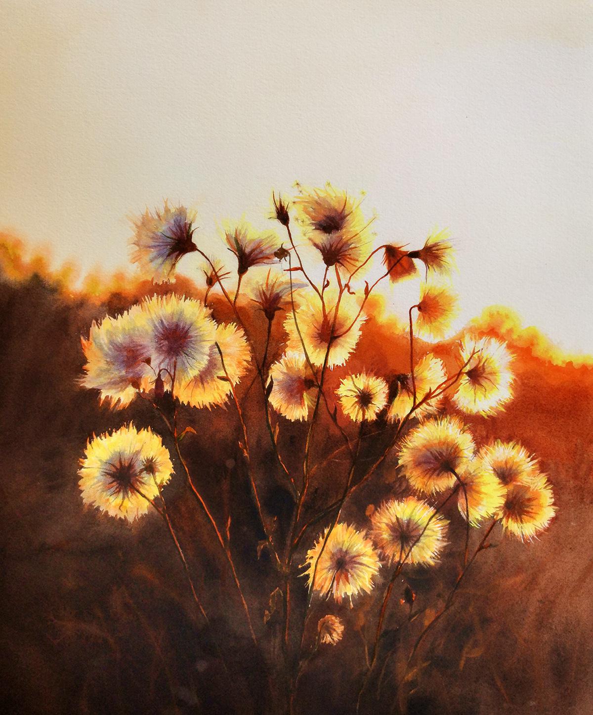 Goodbye Warm Days - Fluffy Thistle | Scrolller