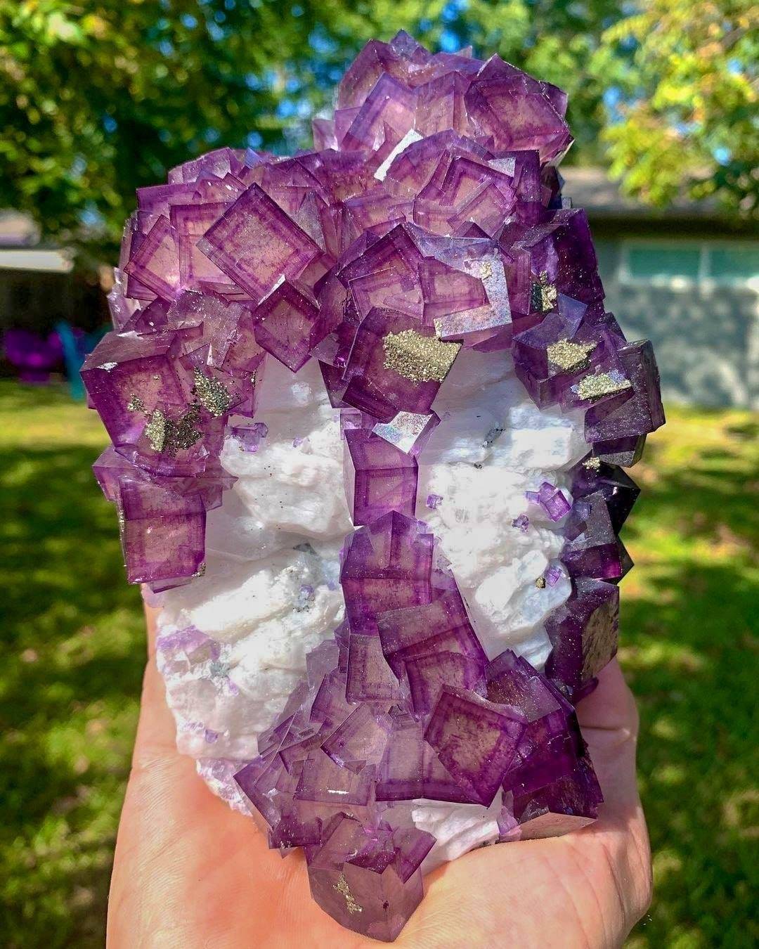 Gorgeous Phantom purple phantom Fluorite on Quartz with Pyrite from China! | Scrolller