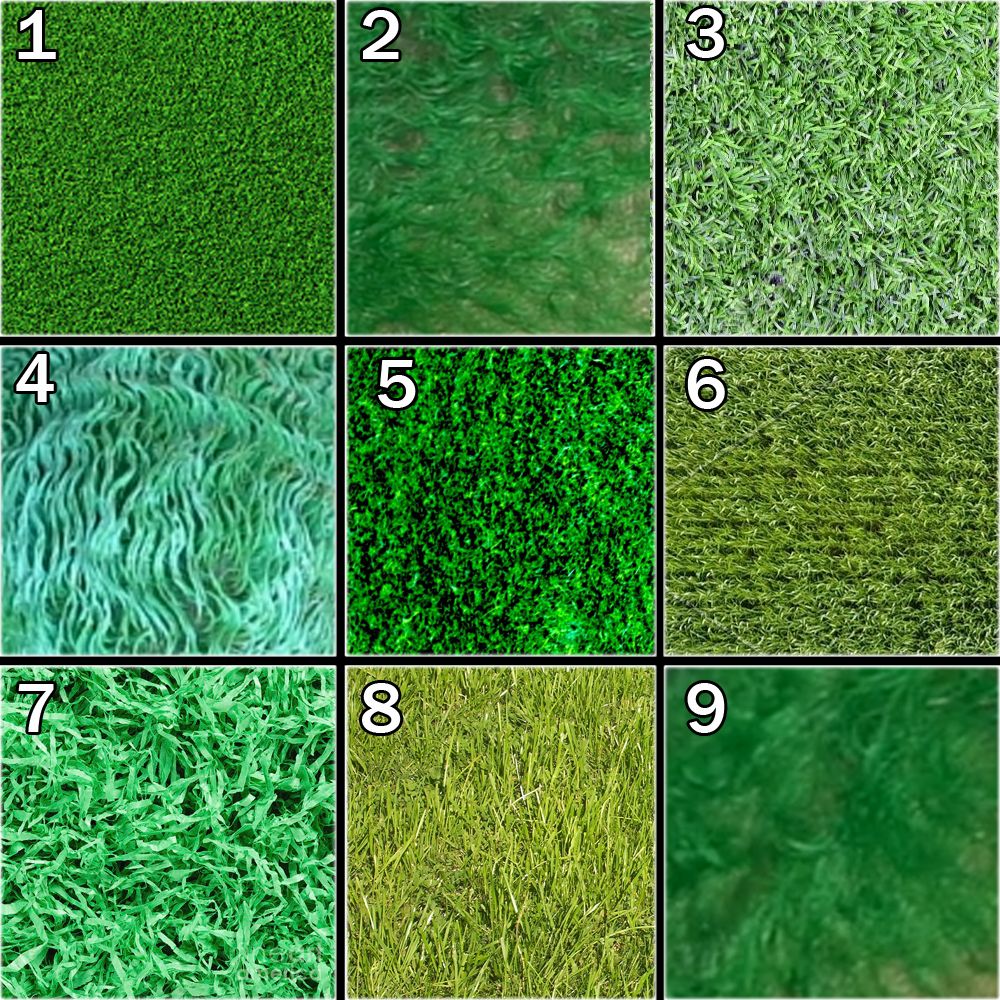 Grass Or Hair? | Scrolller