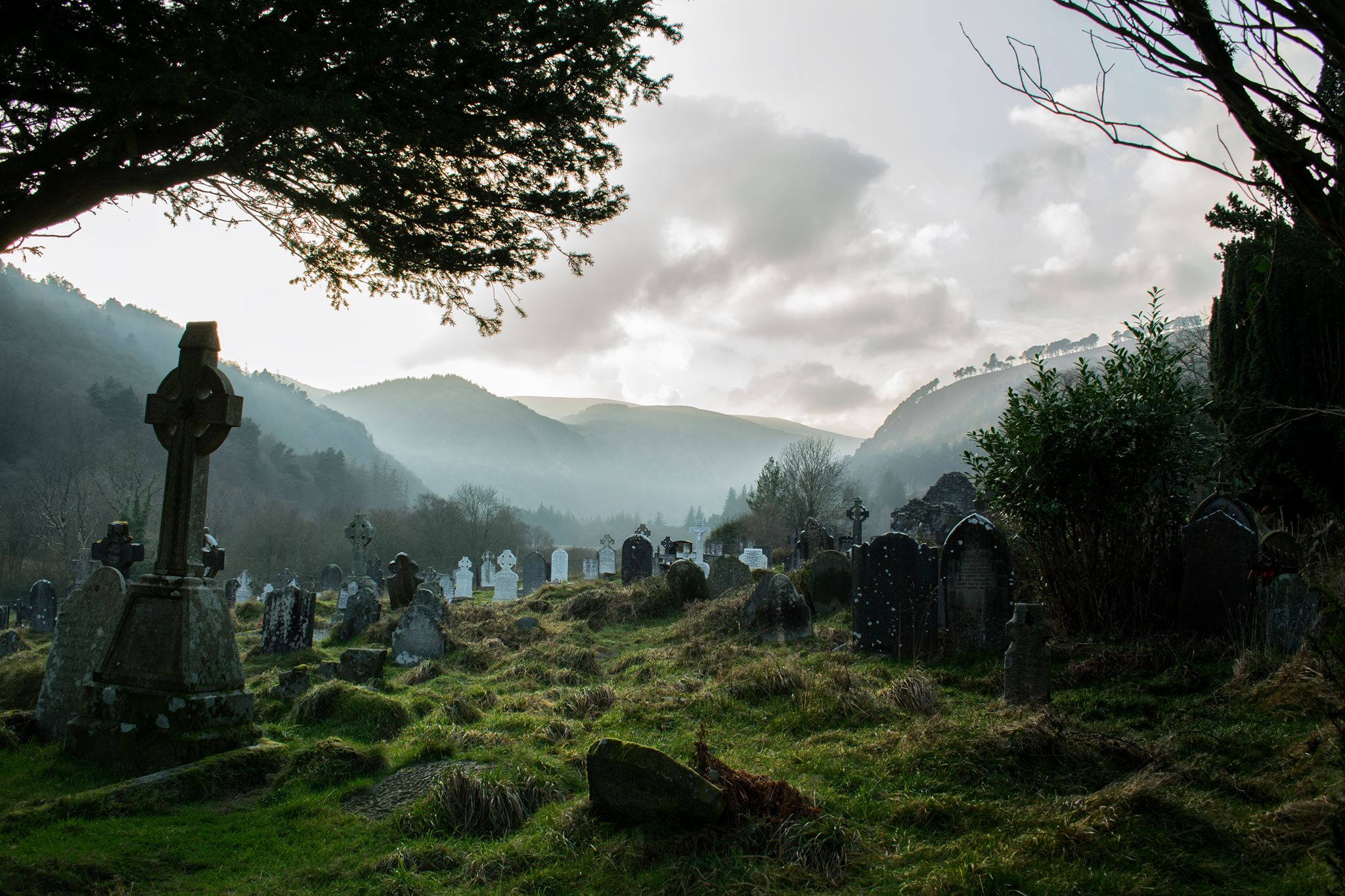 Graveyard in Wicklow, Ireland [2048x1365] [OC] | Scrolller
