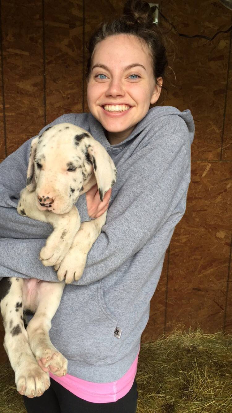 Great Dane puppy and human for scale [/u/sunshinekoala] | Scrolller
