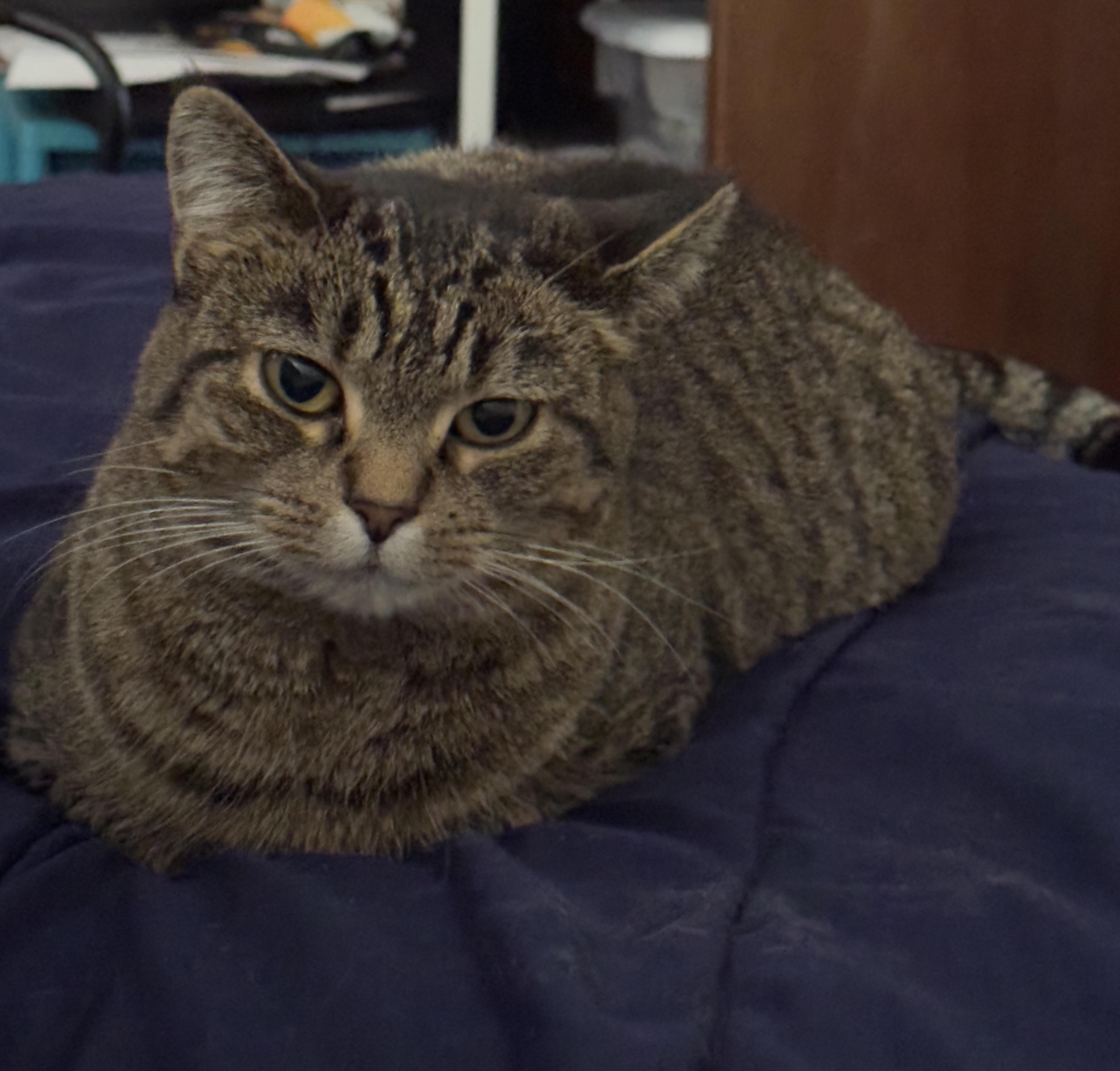 Great form | Scrolller