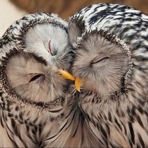 Great moments | Scrolller