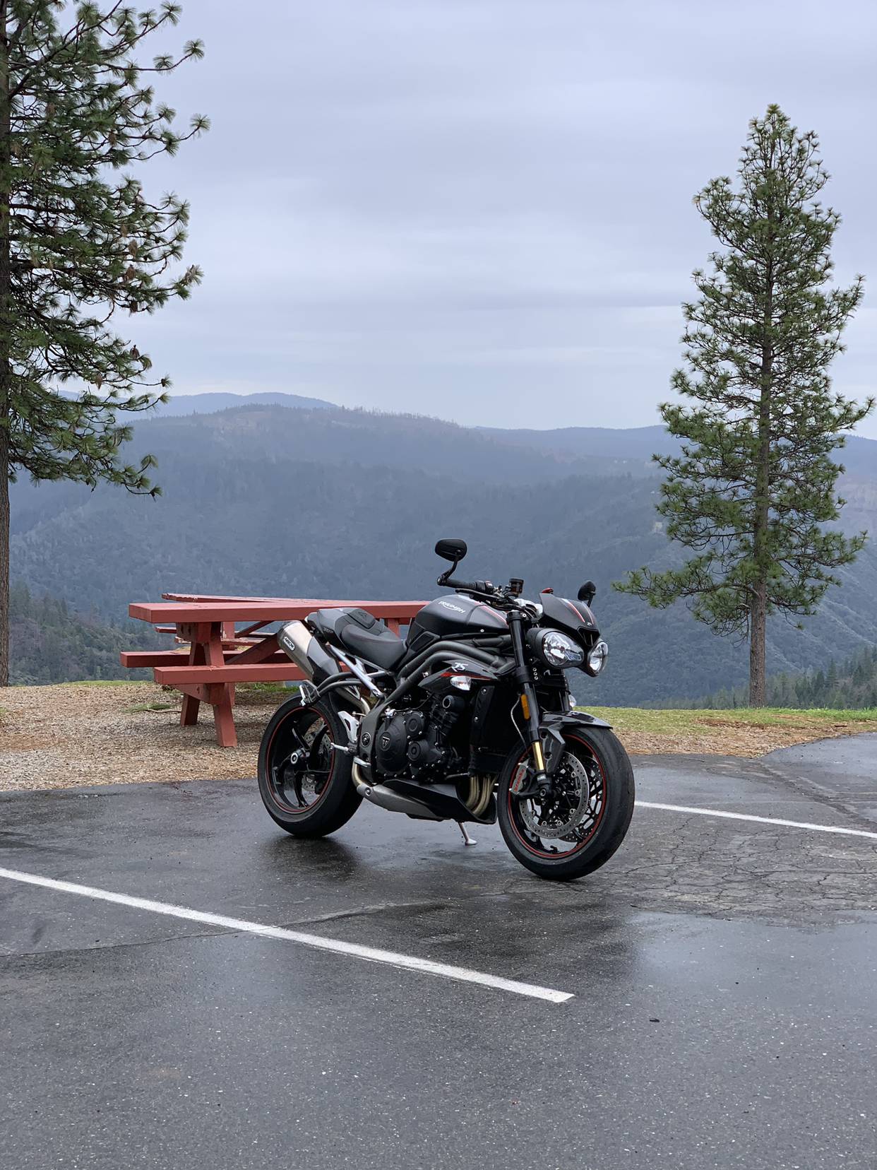 Great Monday ride on the Speed | Scrolller