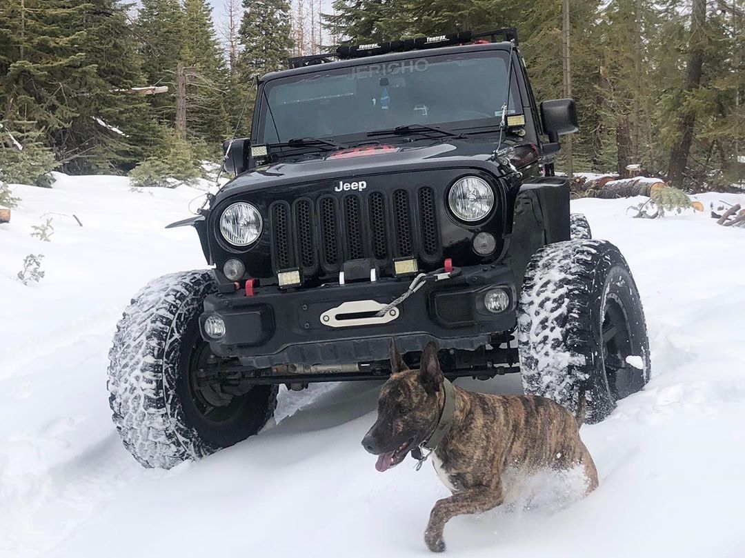 Great morning near Bald mountain! - @Rod OlllllllO | Scrolller