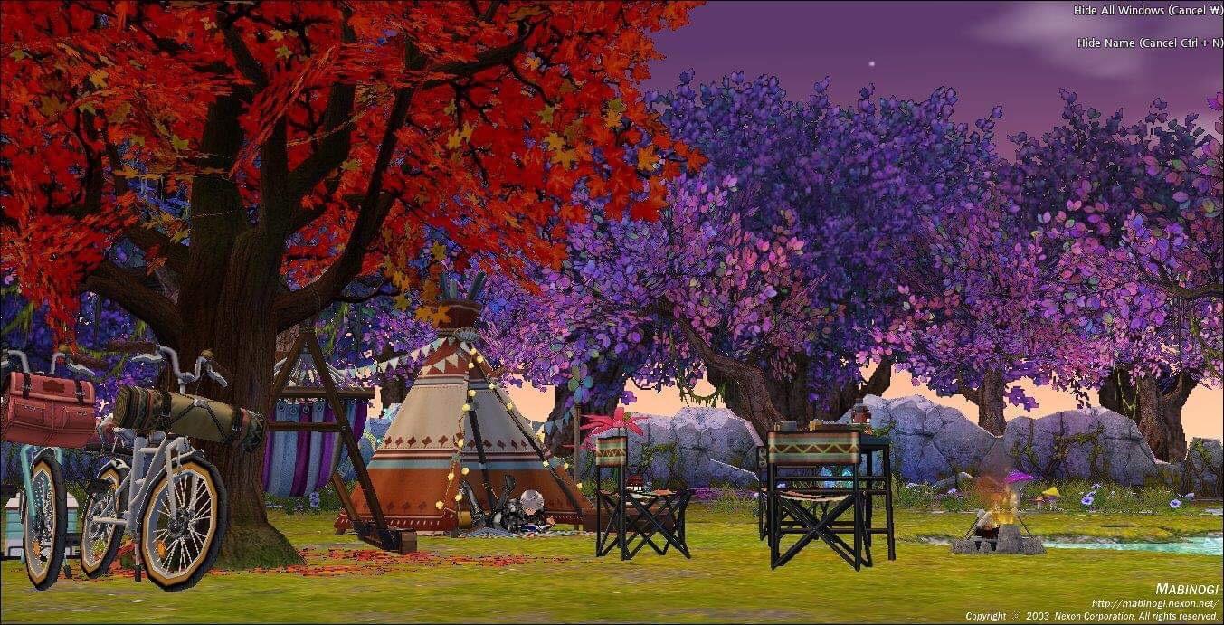 Great place to go camping | Scrolller