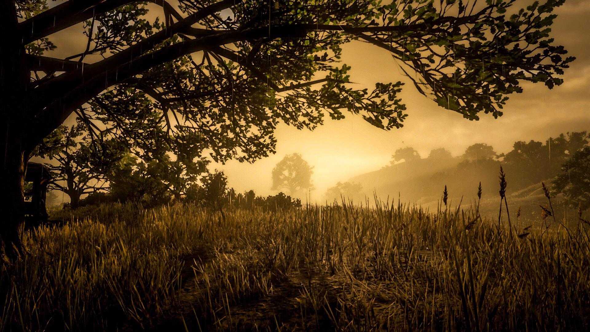 Great Plains has some seriously gorgeous trees | Scrolller