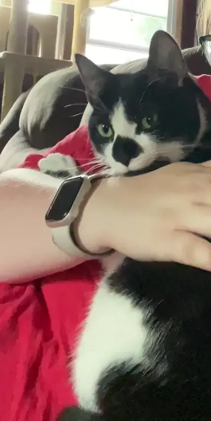 Grooming and blepping | Scrolller