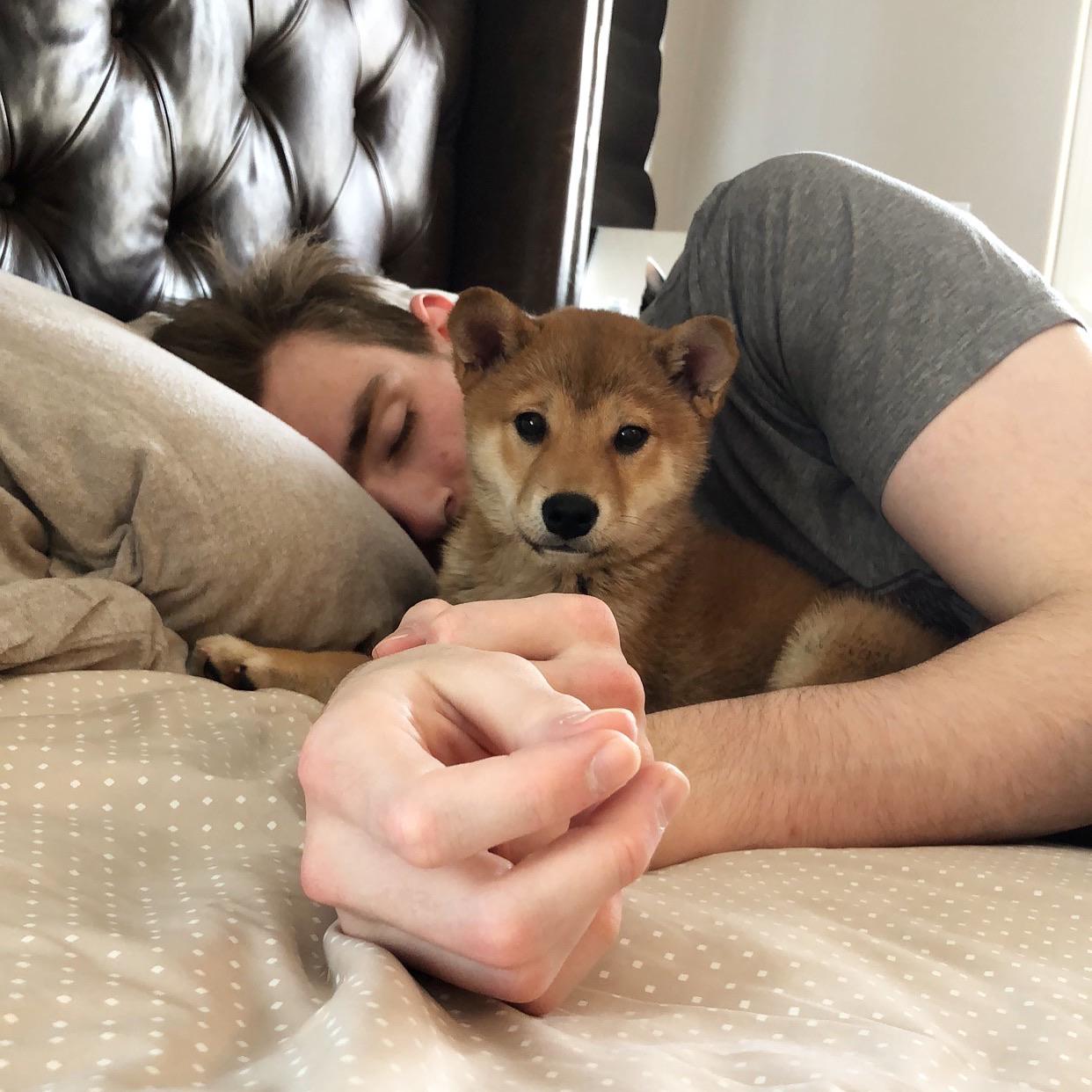 Guarding His Hooman | Scrolller