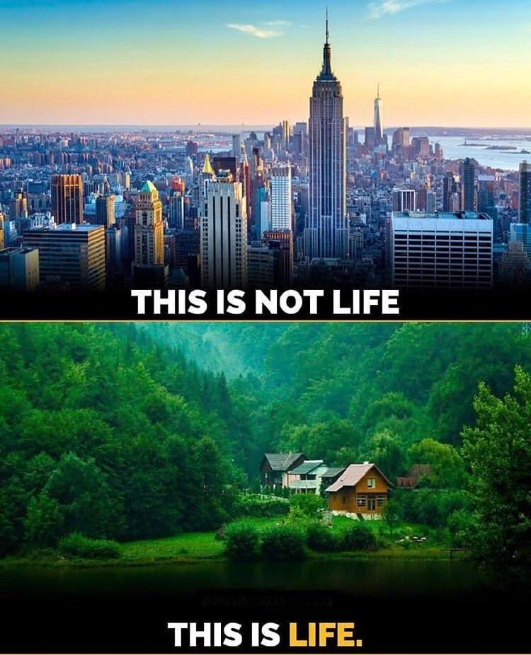 Guess I’ve been doing it wrong | Scrolller