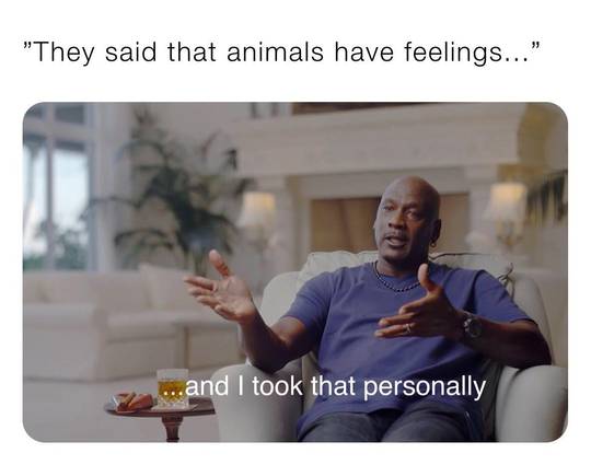 Guys, gentle, they’re fragile | Scrolller