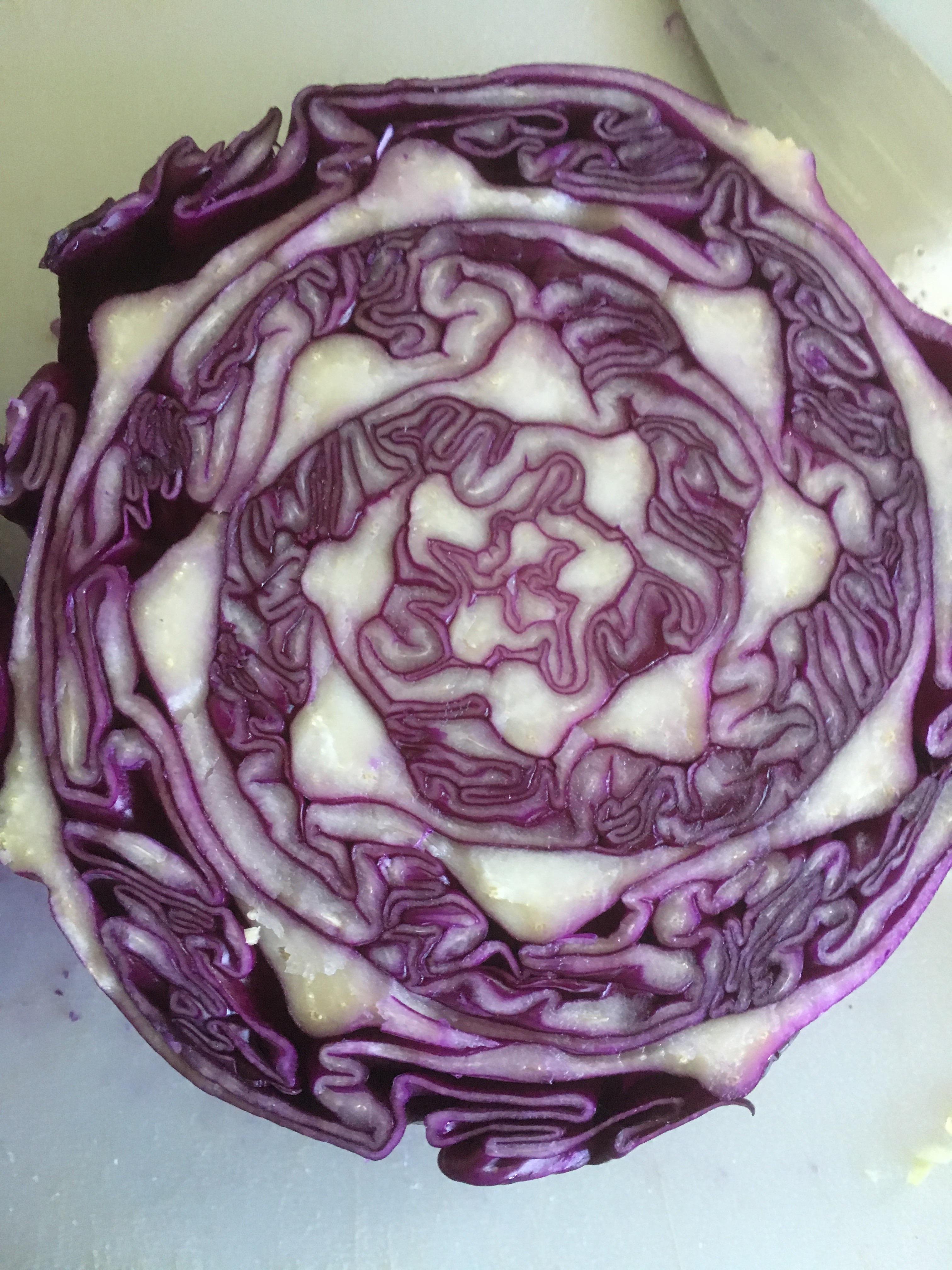 Guys look at this cabbage | Scrolller