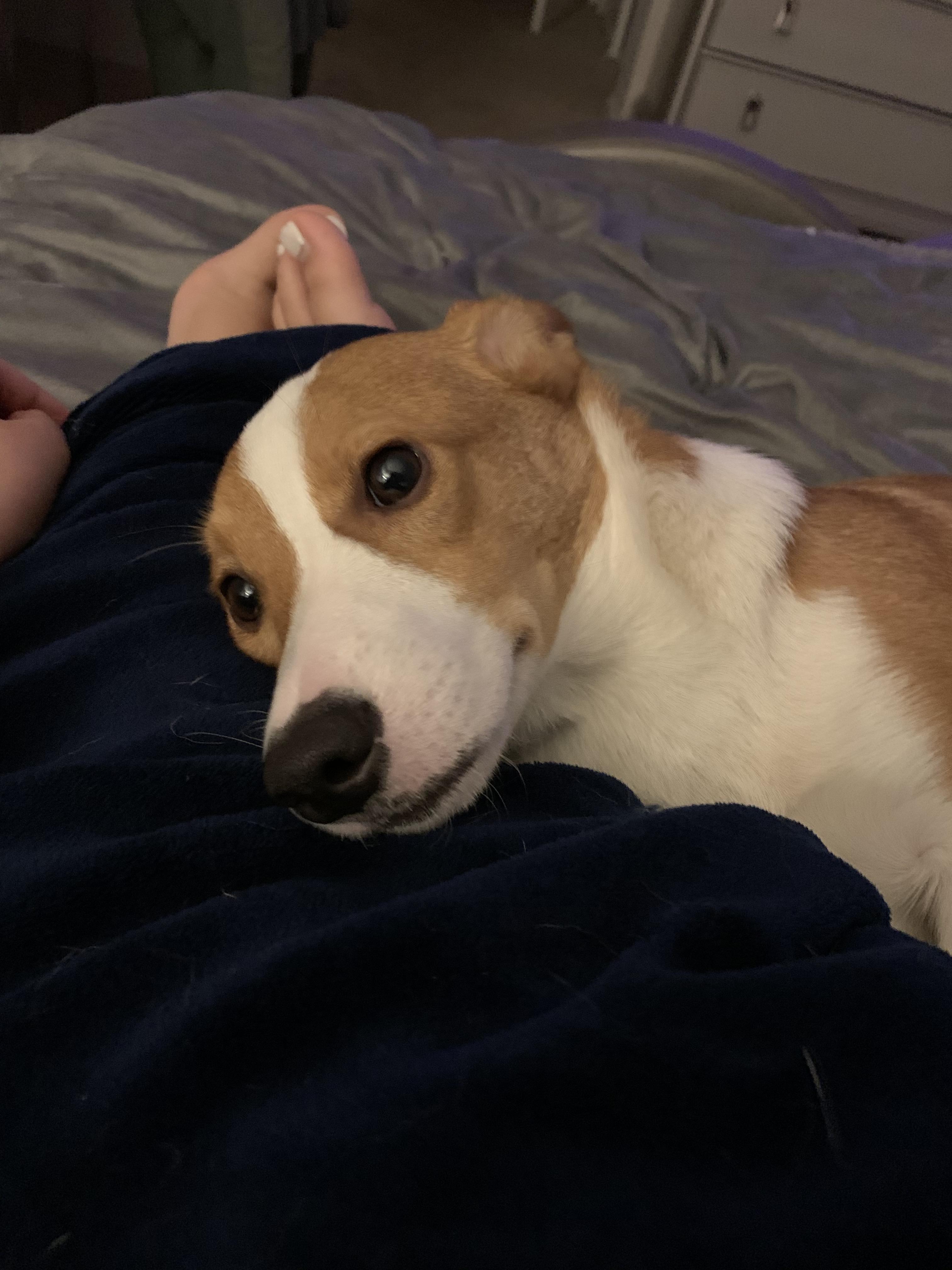 Had a ruff day | Scrolller