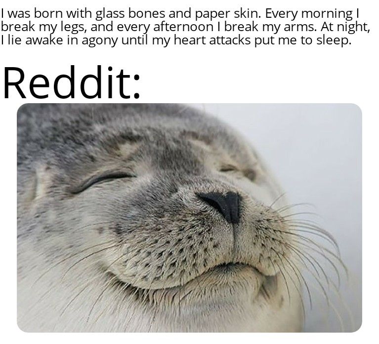 Haha funny meme | Scrolller