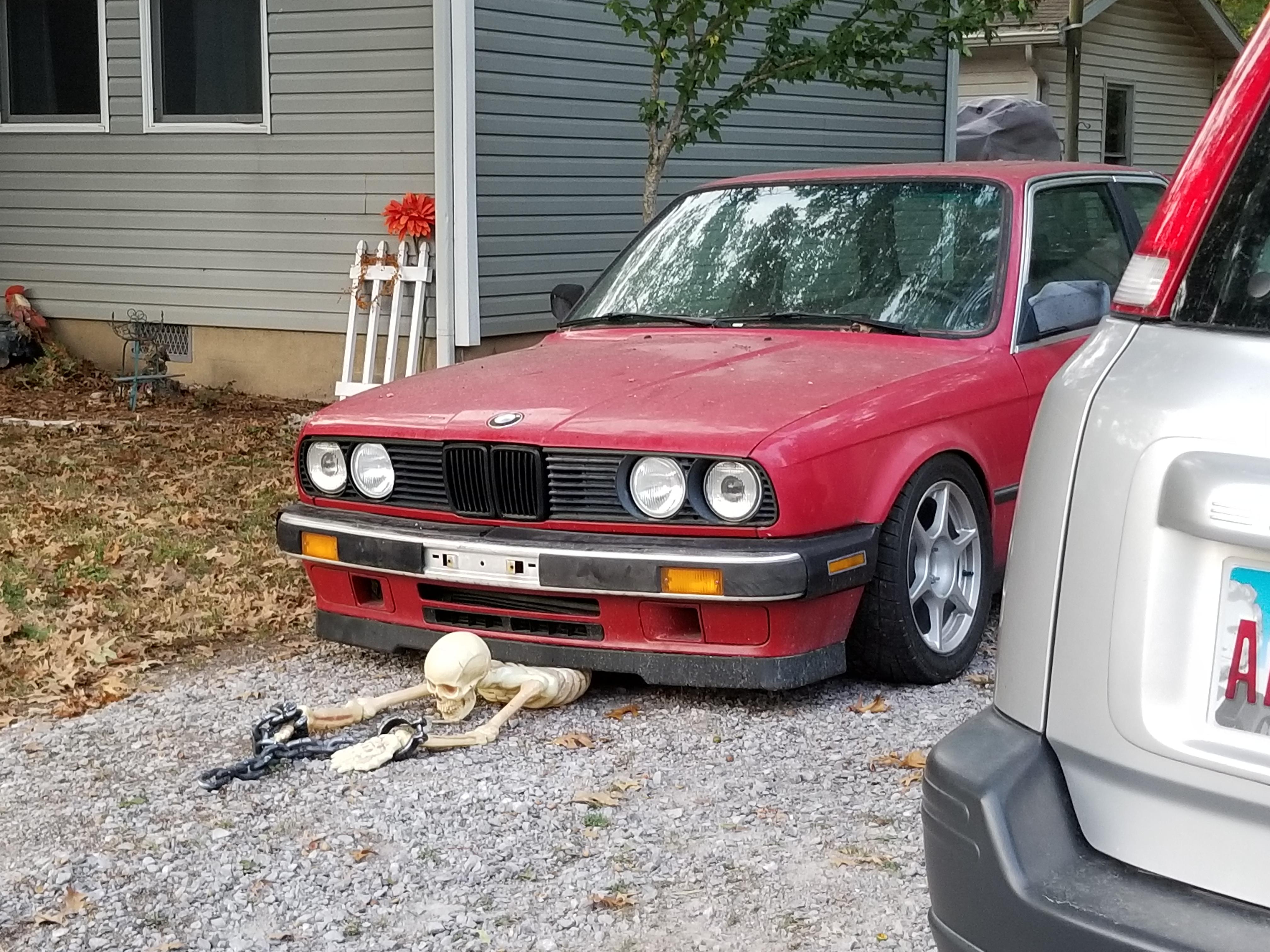 Halloween Bimmer | Scrolller
