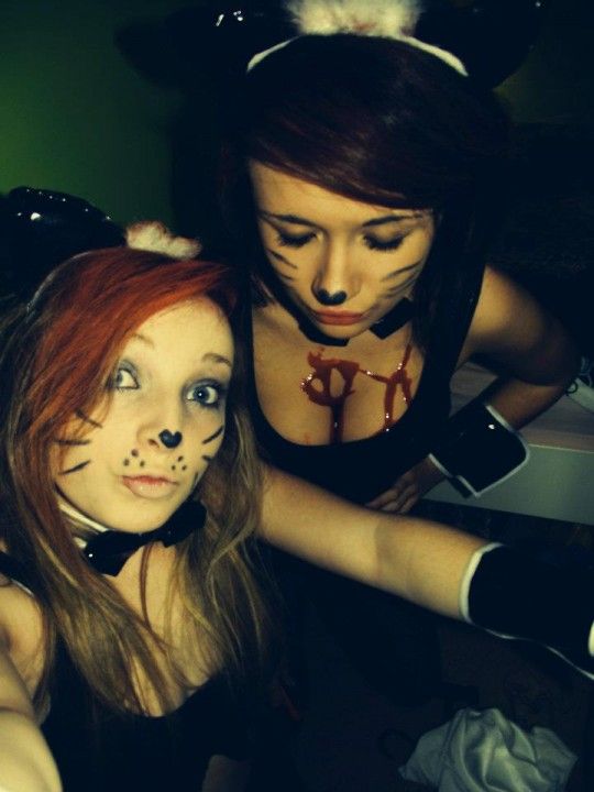 Halloween Cats | Scrolller