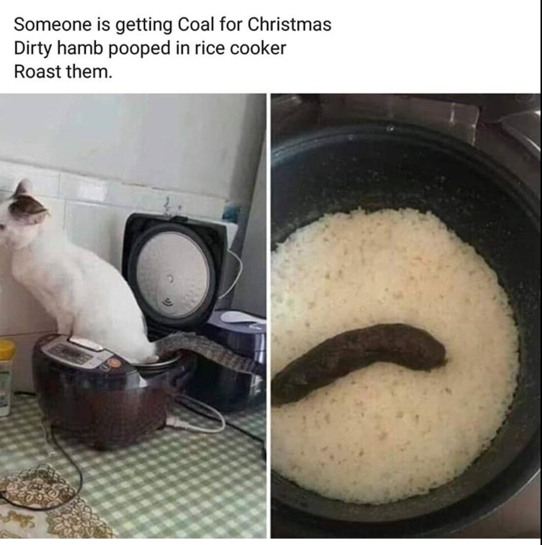 Hamb pooped in rice cooker | Scrolller