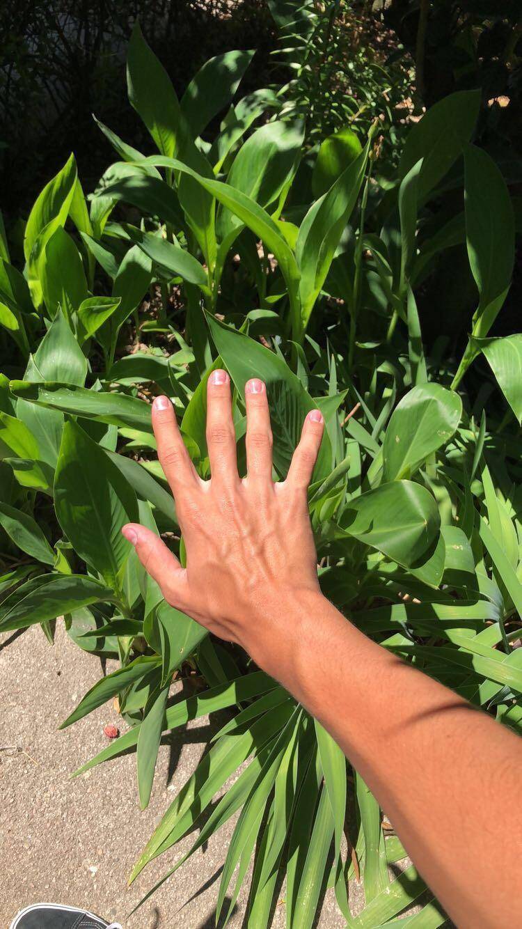 Hands Hands Hands Scrolller